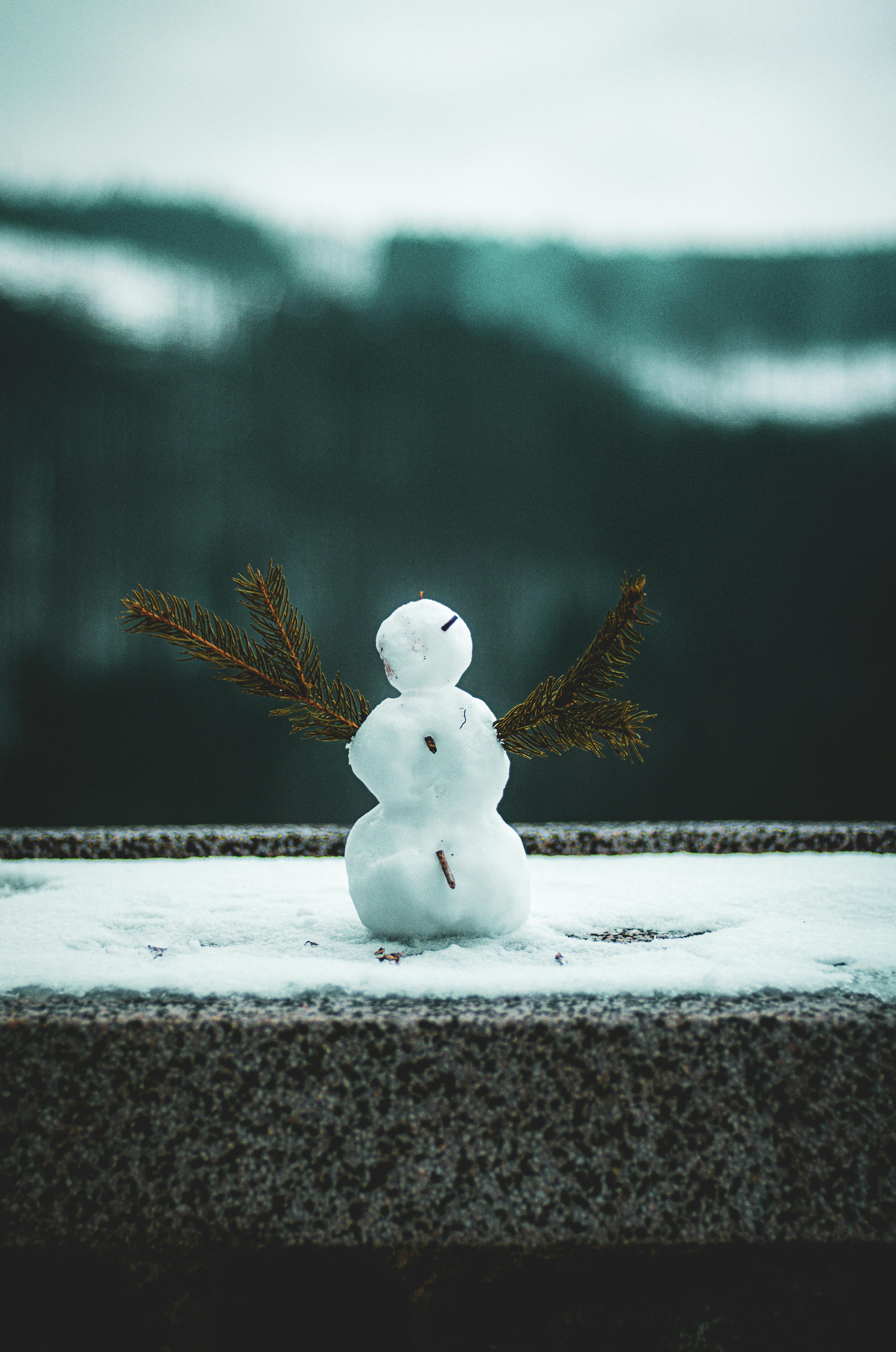 Photo of a Small Snowman · Free Stock Photo