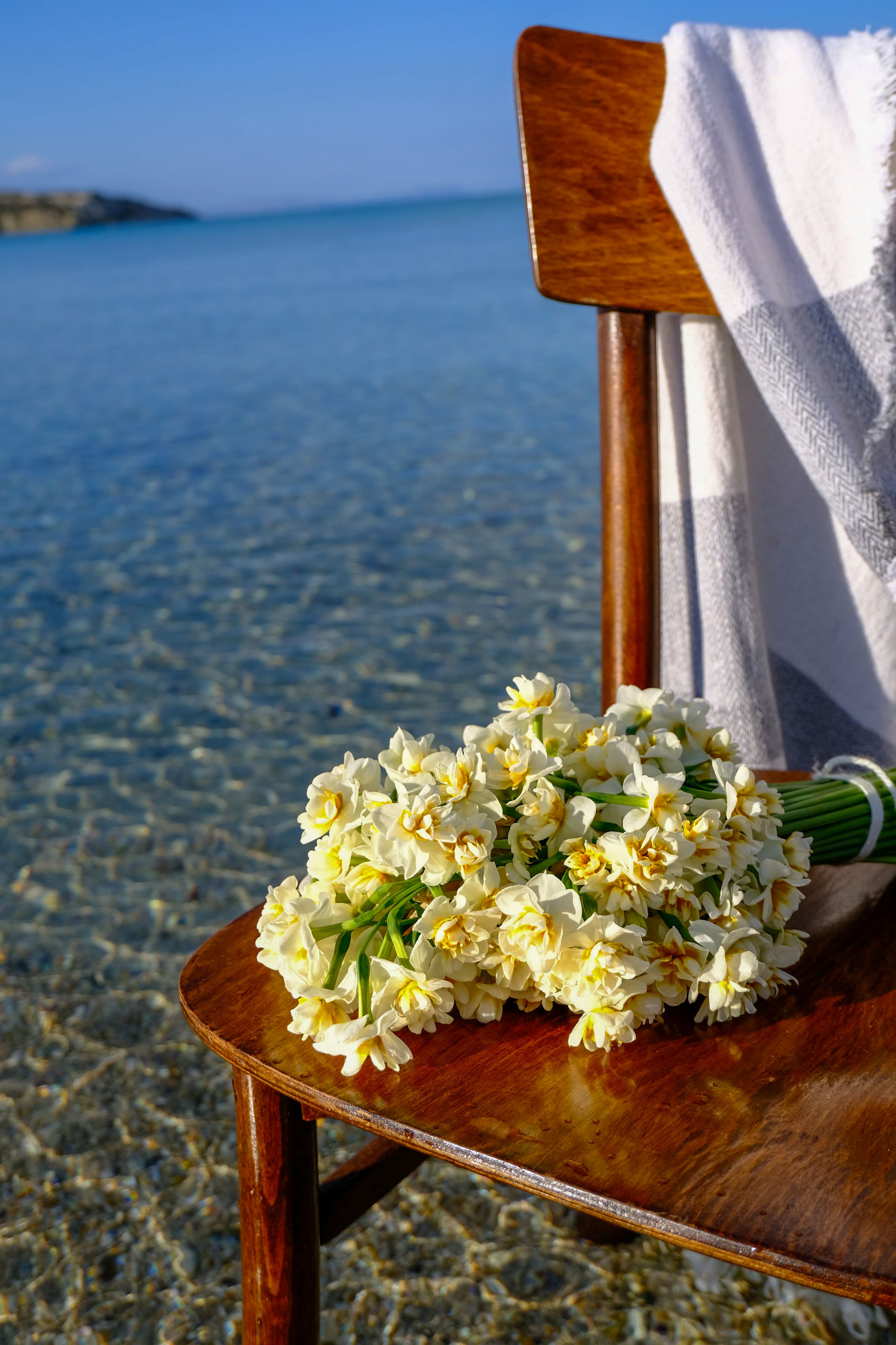 Bouquet of Flowers Lying on Wooden Chair Standing in Water · Free Stock ...