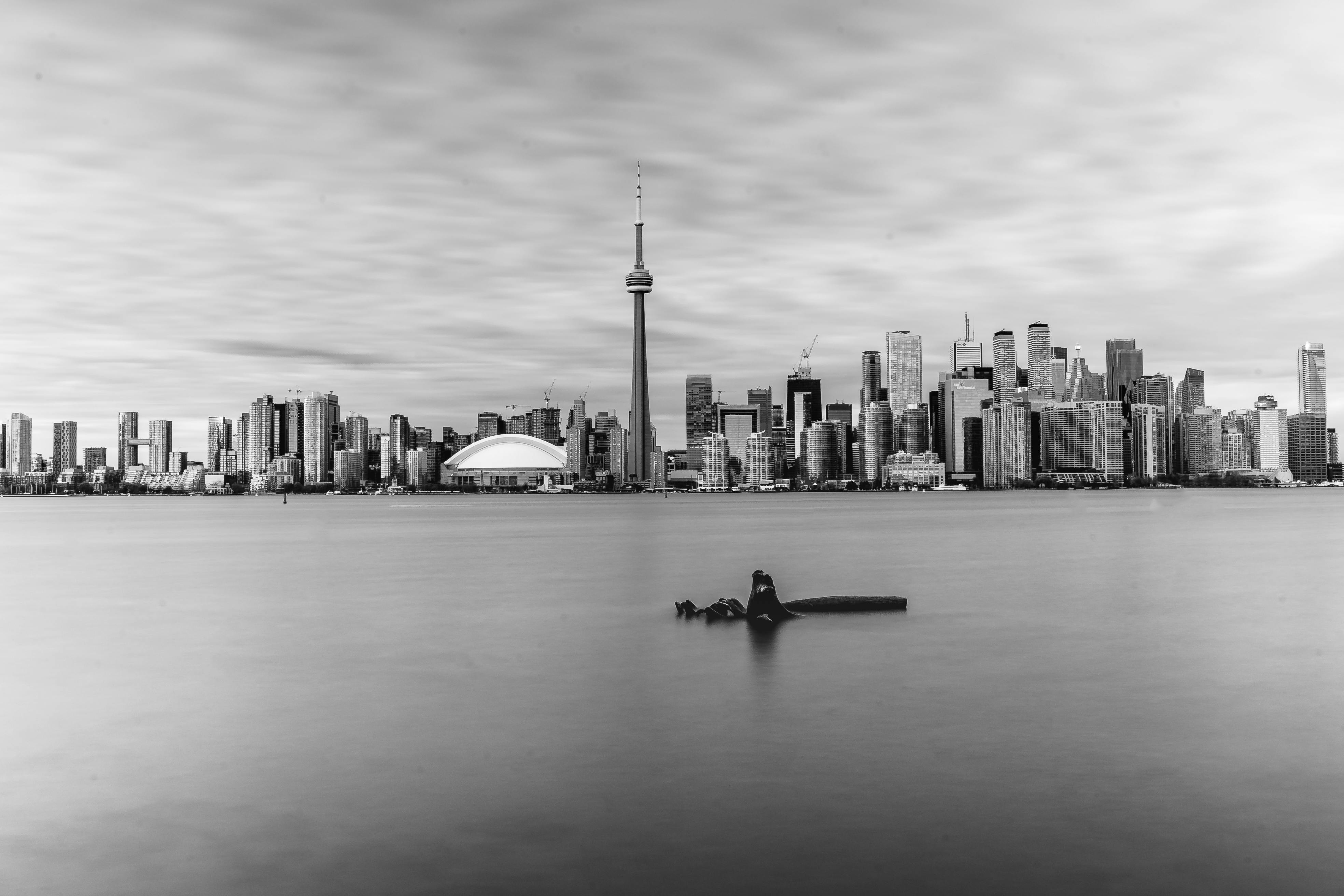 Panoramic View of Downtown Toronto, Ontario, Canada · Free Stock Photo