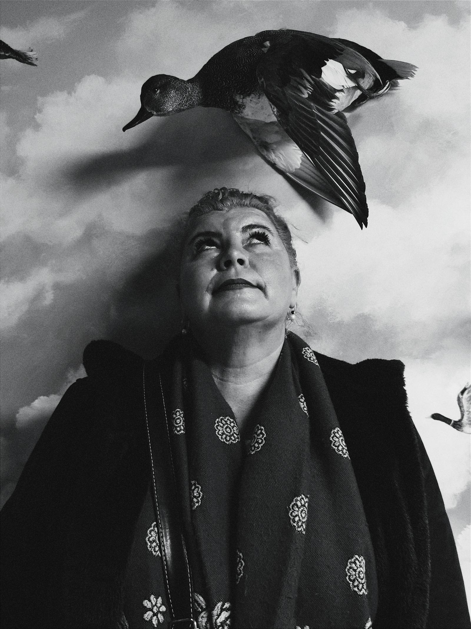 Flappy Bird Background Photos, Download The BEST Free Flappy Bird ...