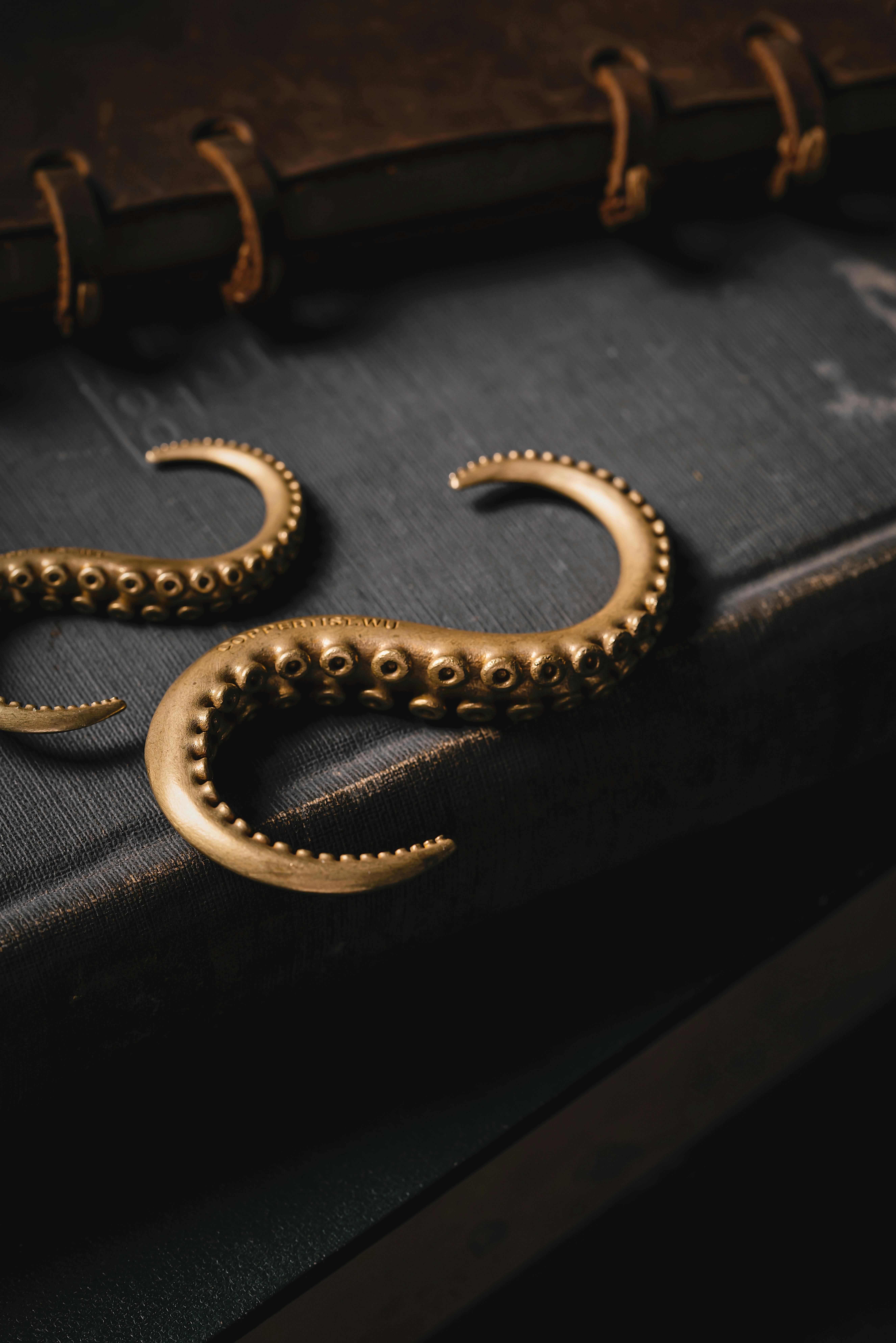 Cirrina Photos, Download The BEST Free Cirrina Stock Photos & HD Images