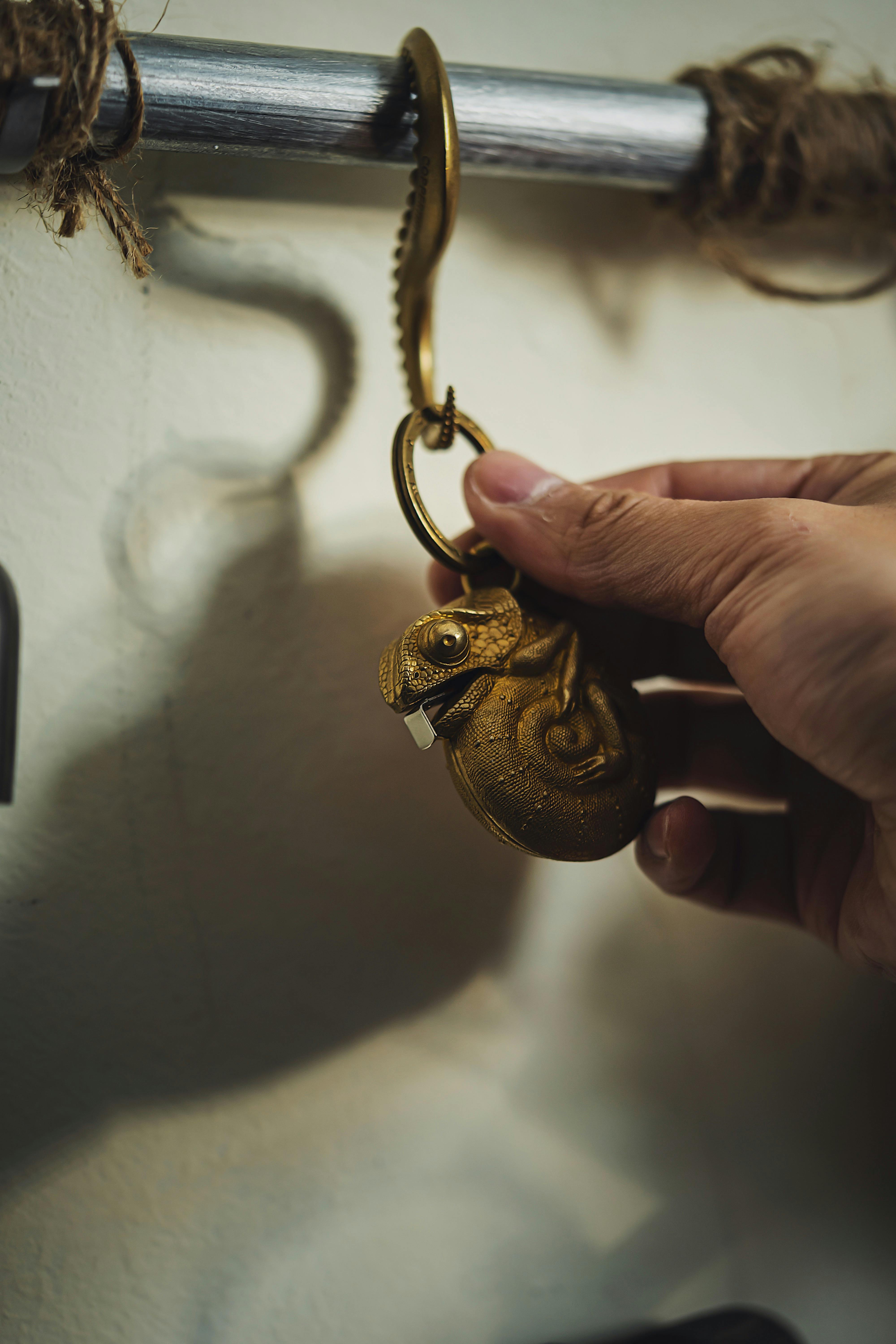 Octopus Hands Photos, Download The BEST Free Octopus Hands Stock Photos ...