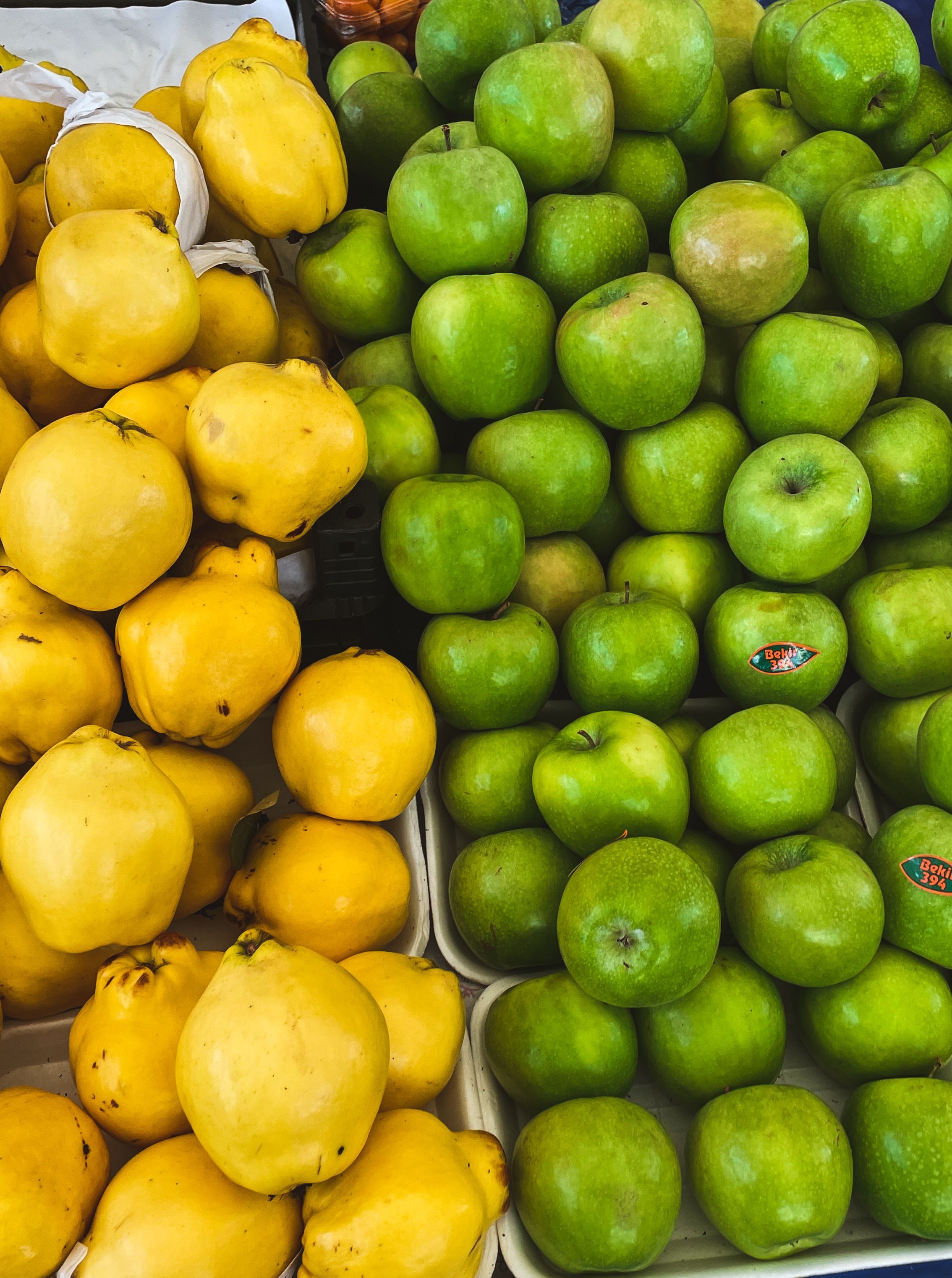 Blox Fruits Photos, Download The BEST Free Blox Fruits Stock Photos ...