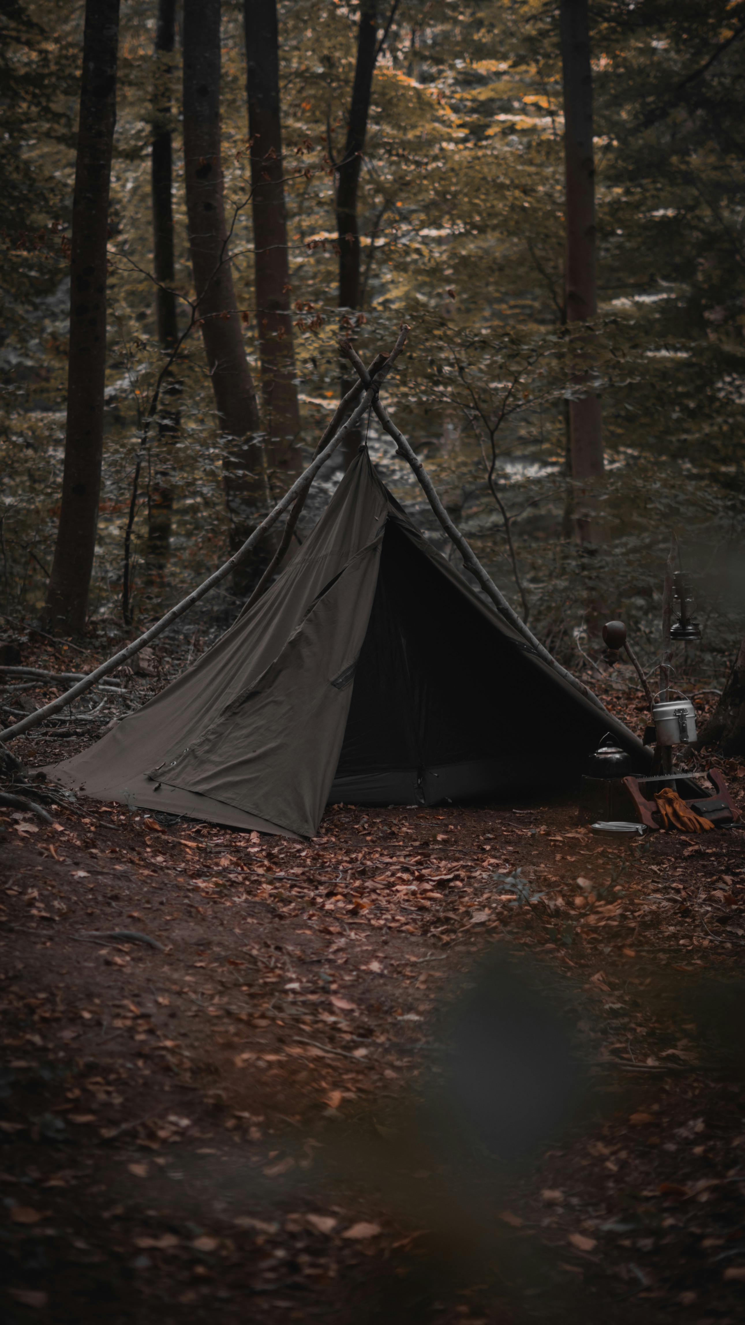Tent in a Forest in Autumn · Free Stock Photo