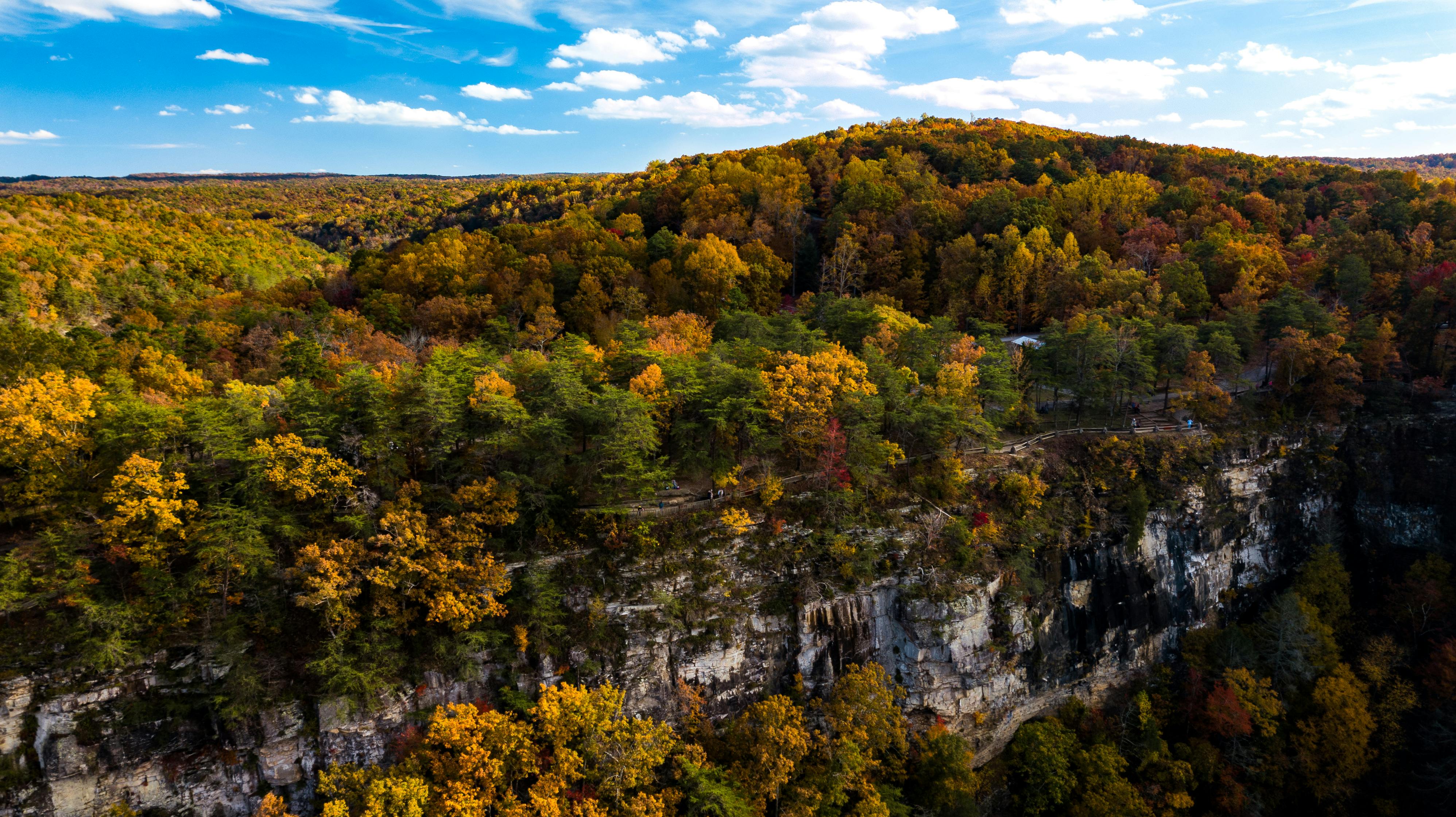 Aerial Photography Of Forest · Free Stock Photo