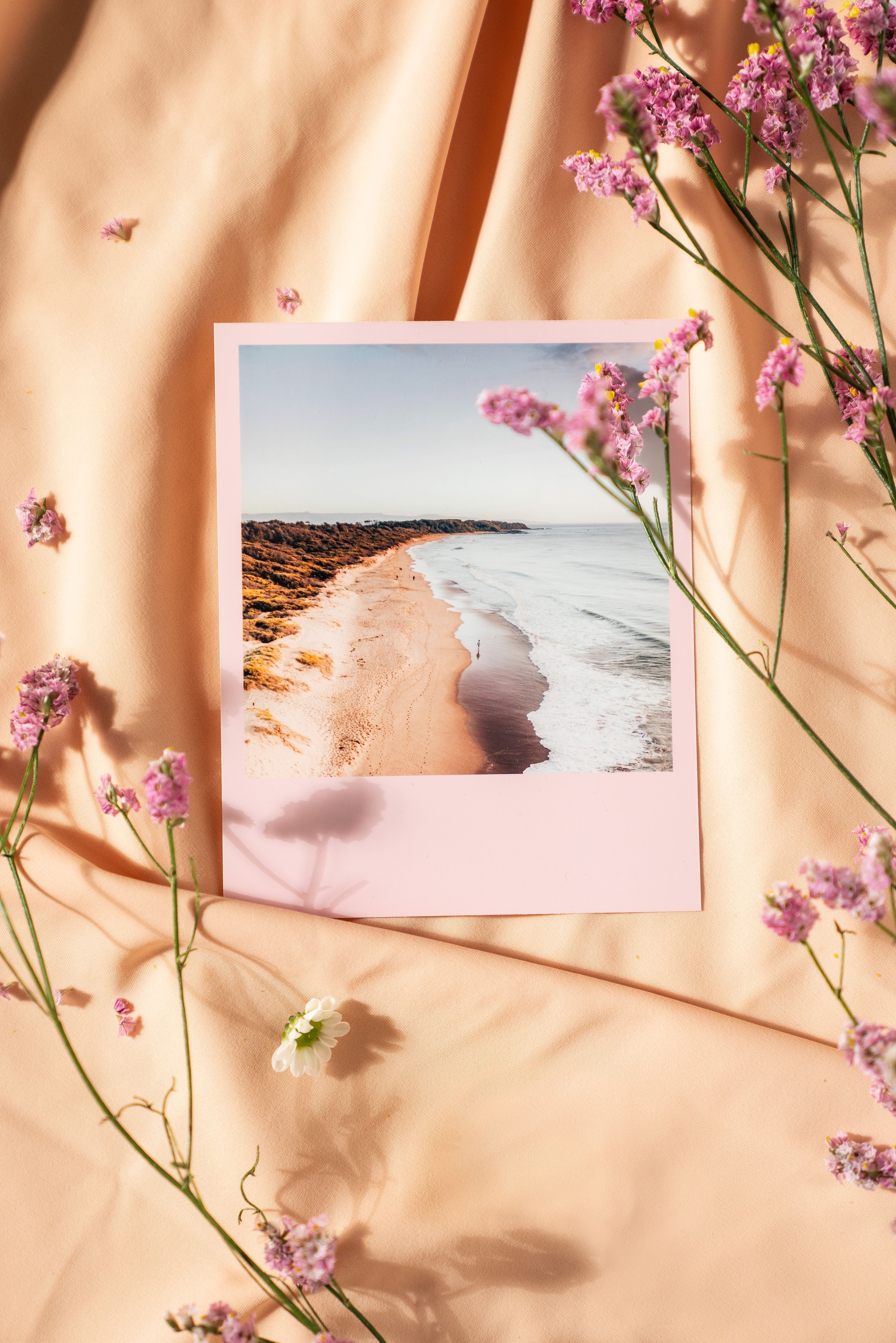 Polaroid Photo and Flowers on Fabric · Free Stock Photo