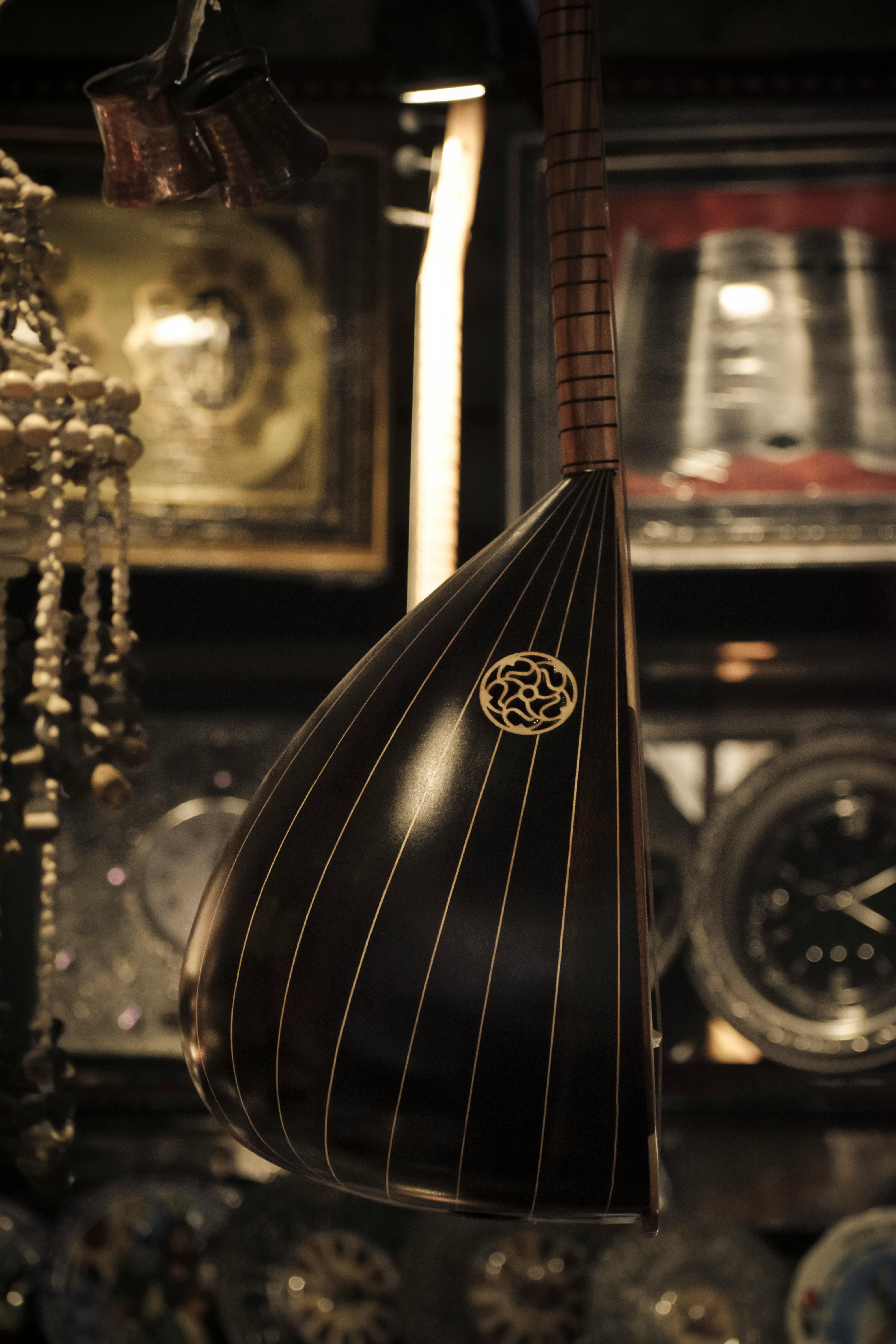 Close up of Black Saz · Free Stock Photo