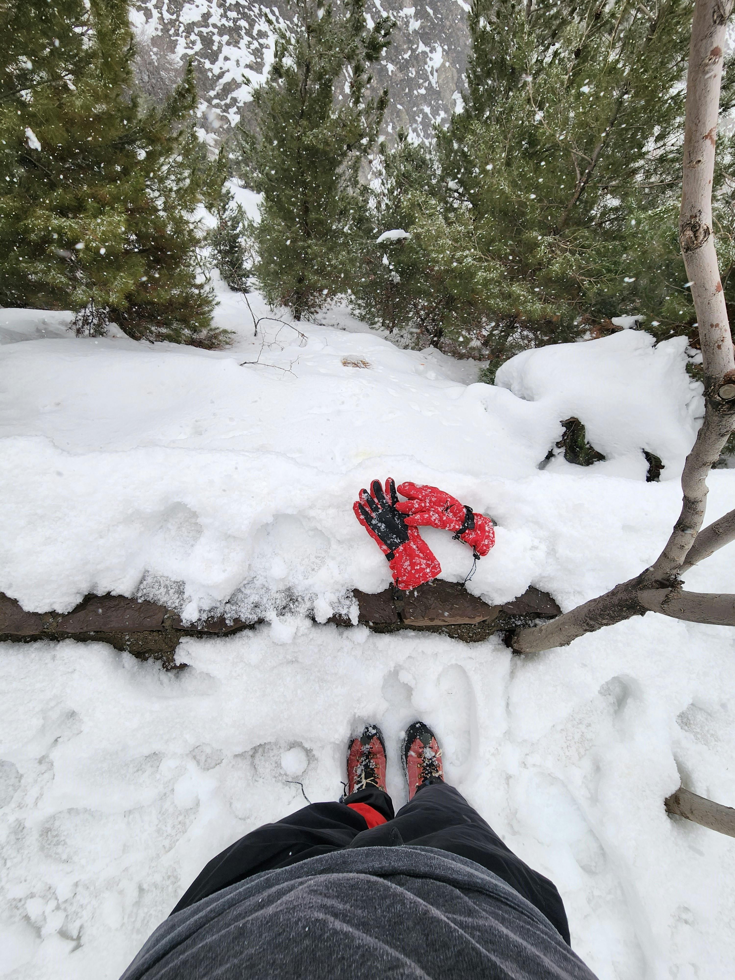 Personal Perspective Photos, Download The BEST Free Personal ...