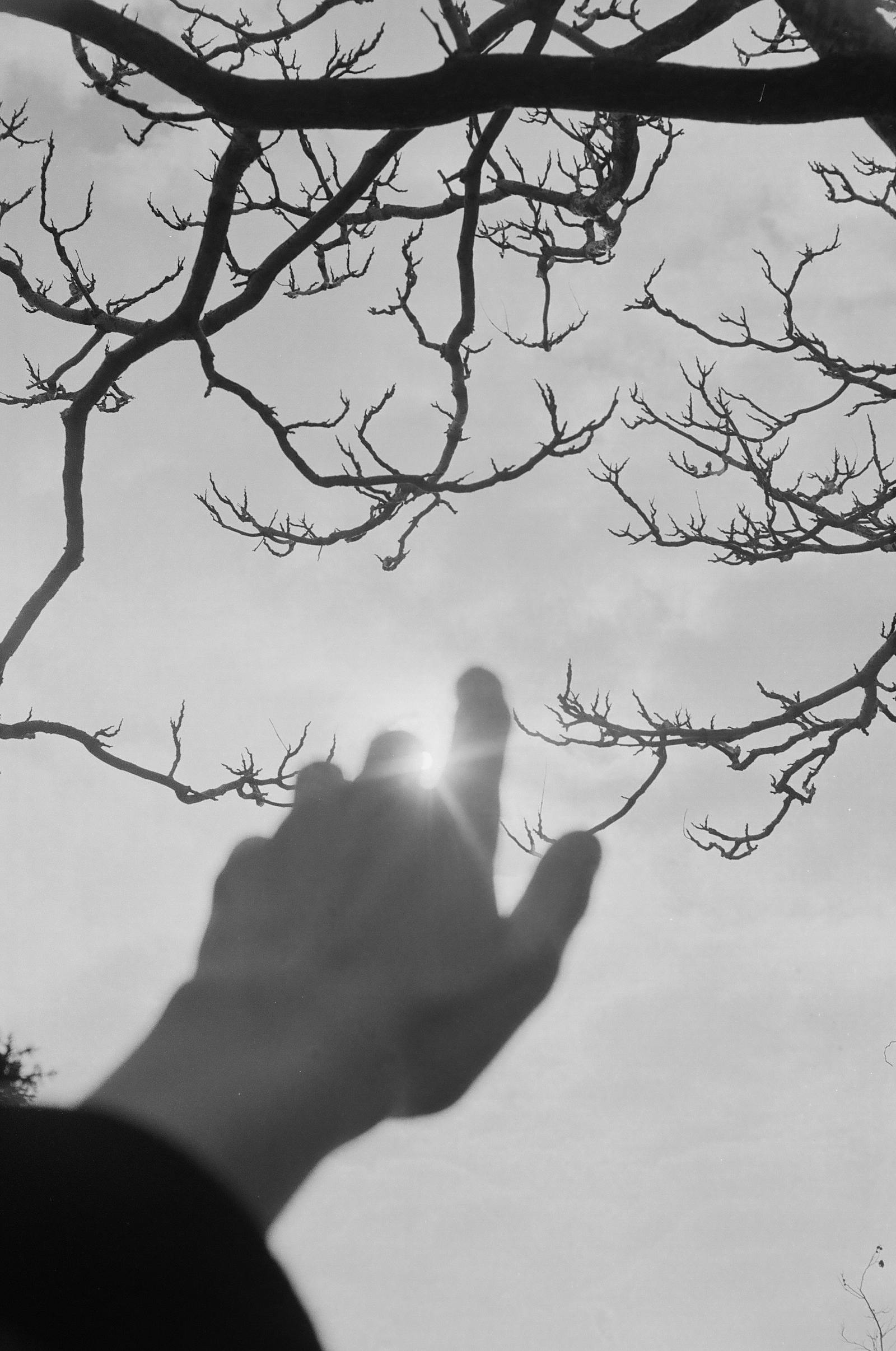 Hand Reaching Toward Sunlight Photos, Download The BEST Free Hand ...