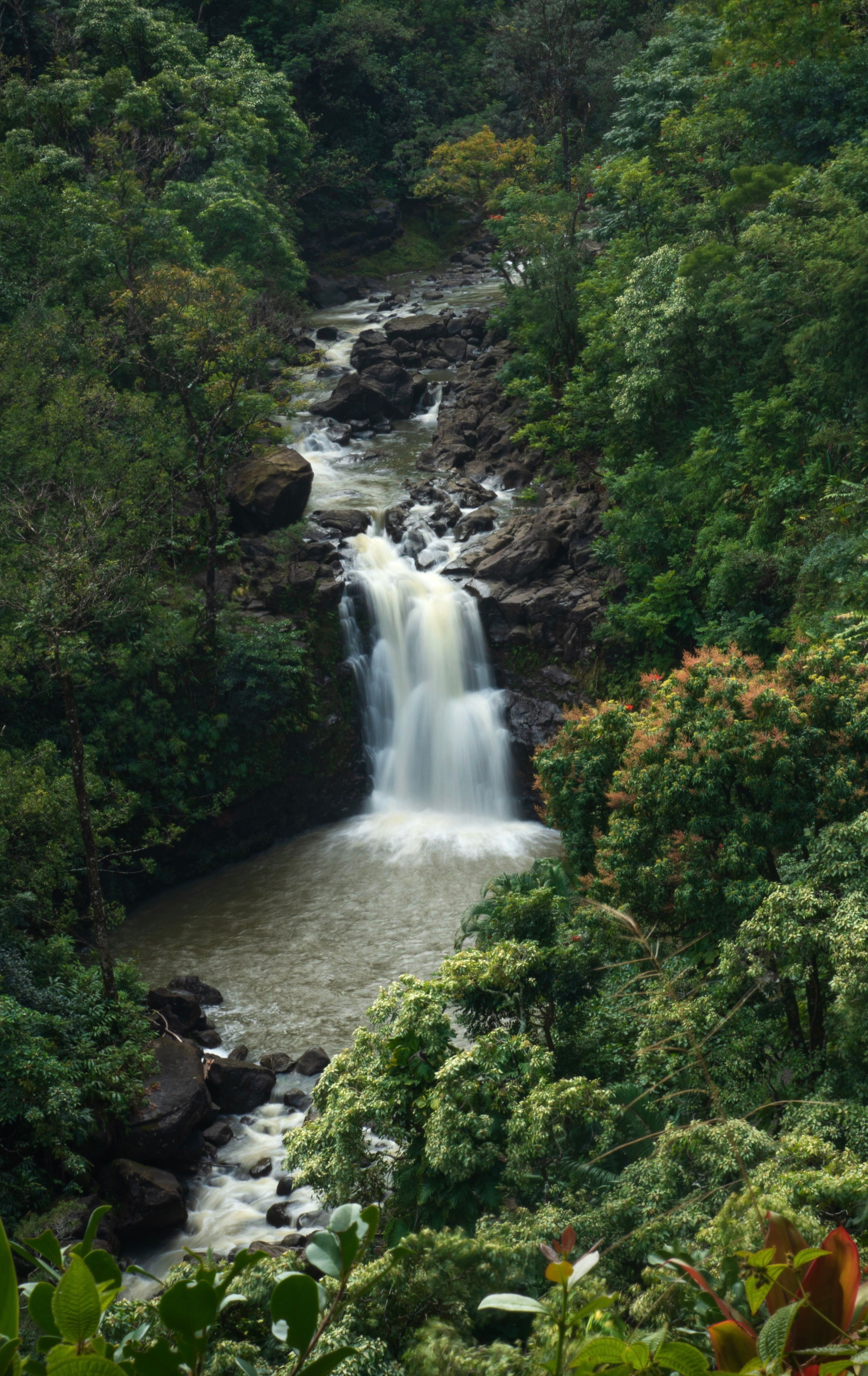 Green Scenery Photos, Download The BEST Free Green Scenery Stock Photos ...