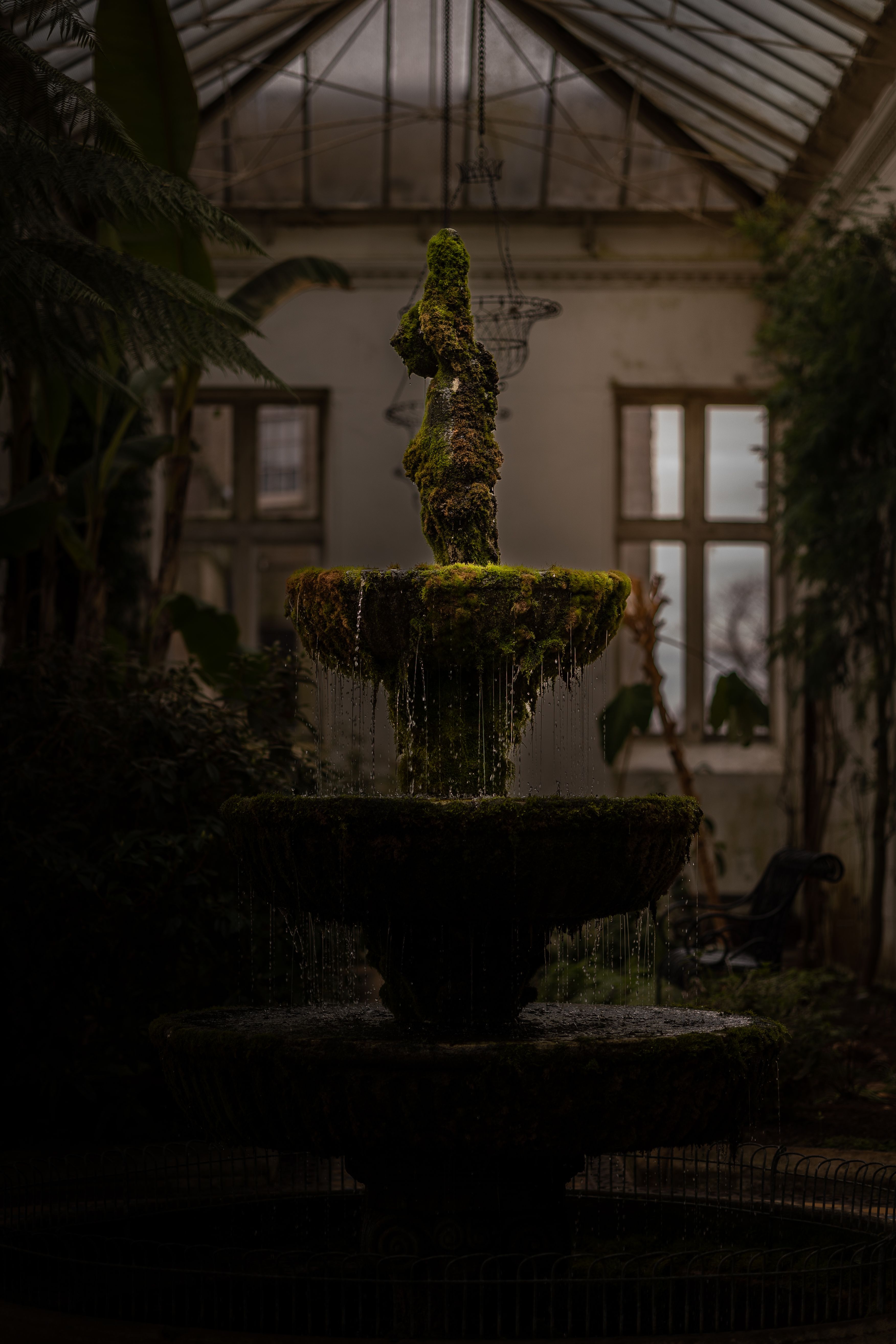 Fountain in Greenhouse · Free Stock Photo