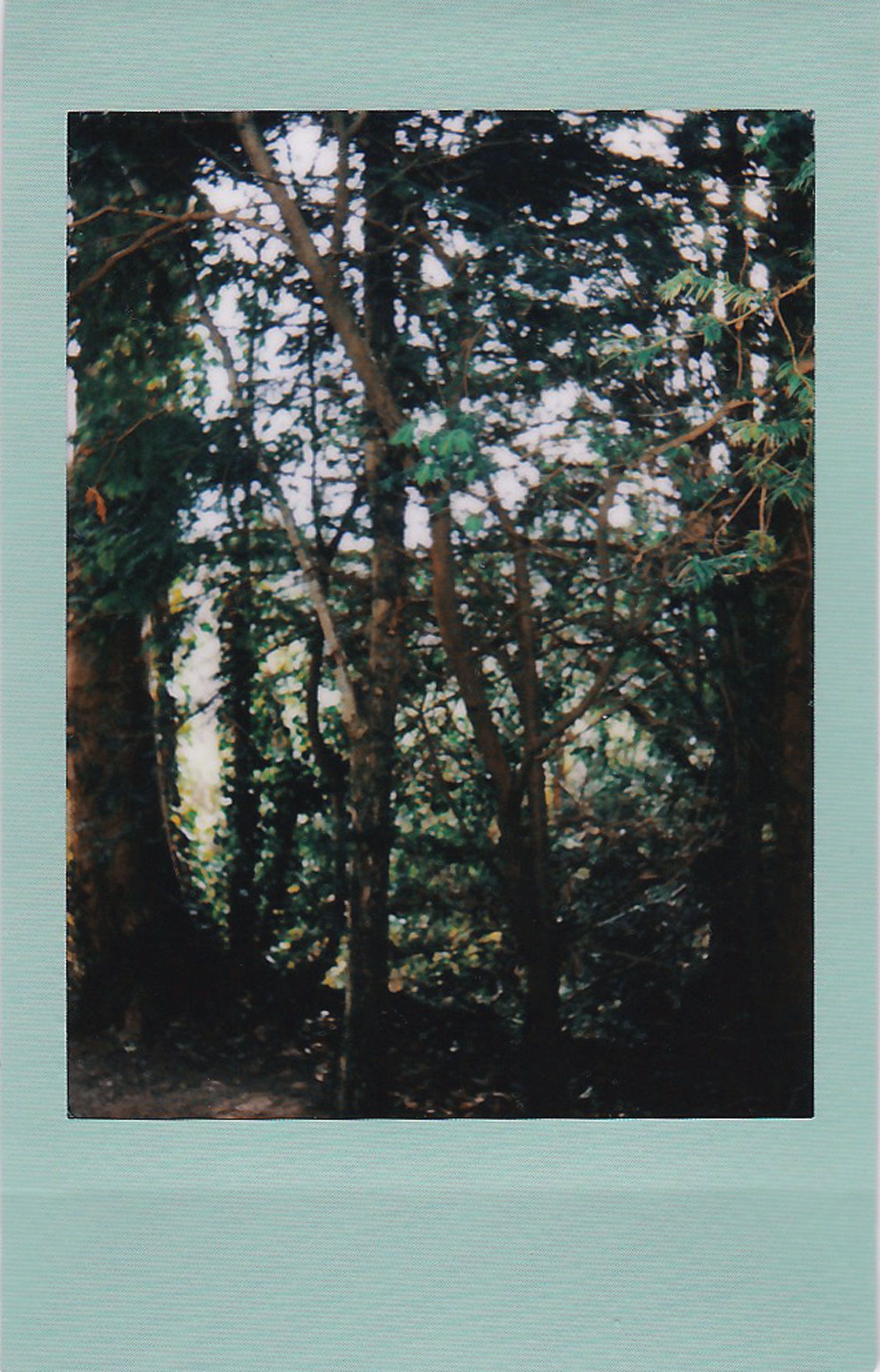 Polaroid Frame Photos, Download The BEST Free Polaroid Frame Stock ...
