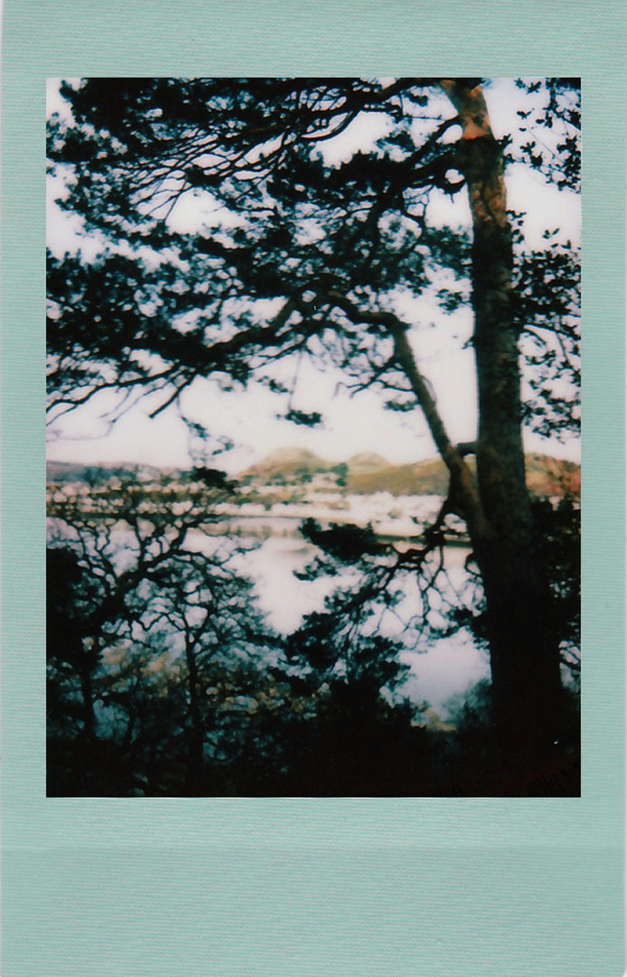 Polaroid Photo of Trees and River · Free Stock Photo