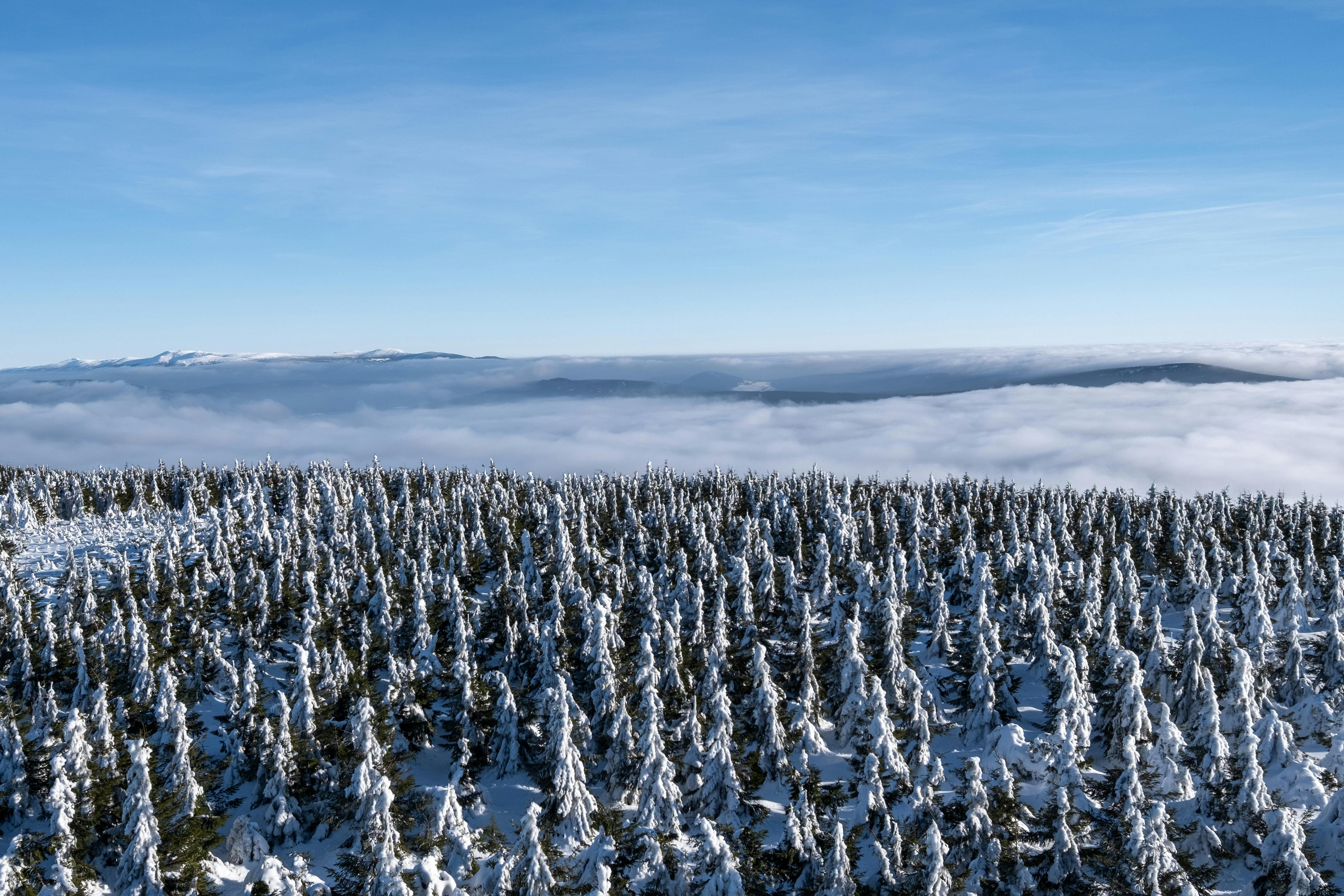 Clock Landscape Photos, Download The BEST Free Clock Landscape Stock ...