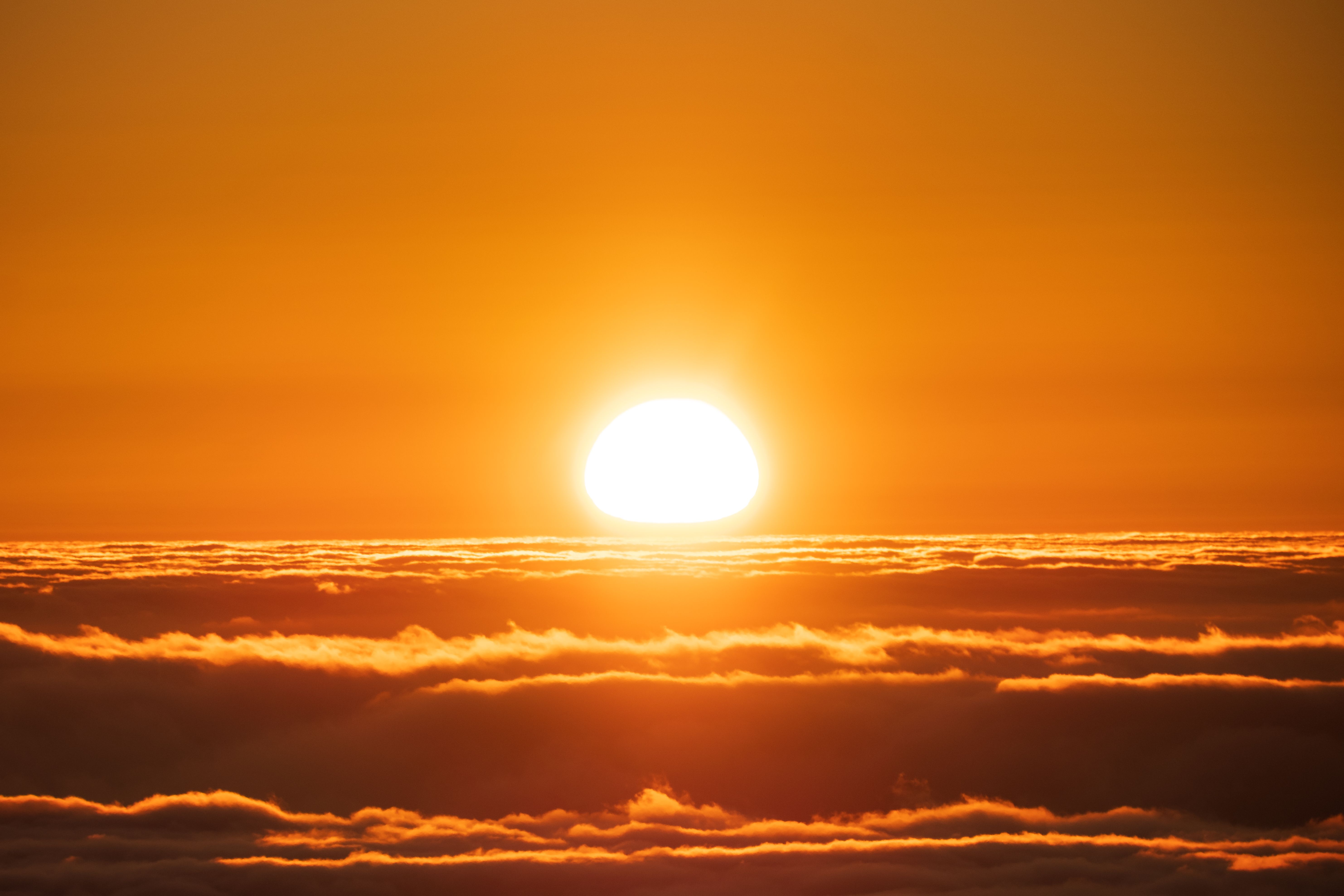 Sun Wukong Photos, Download The BEST Free Sun Wukong Stock Photos & HD ...