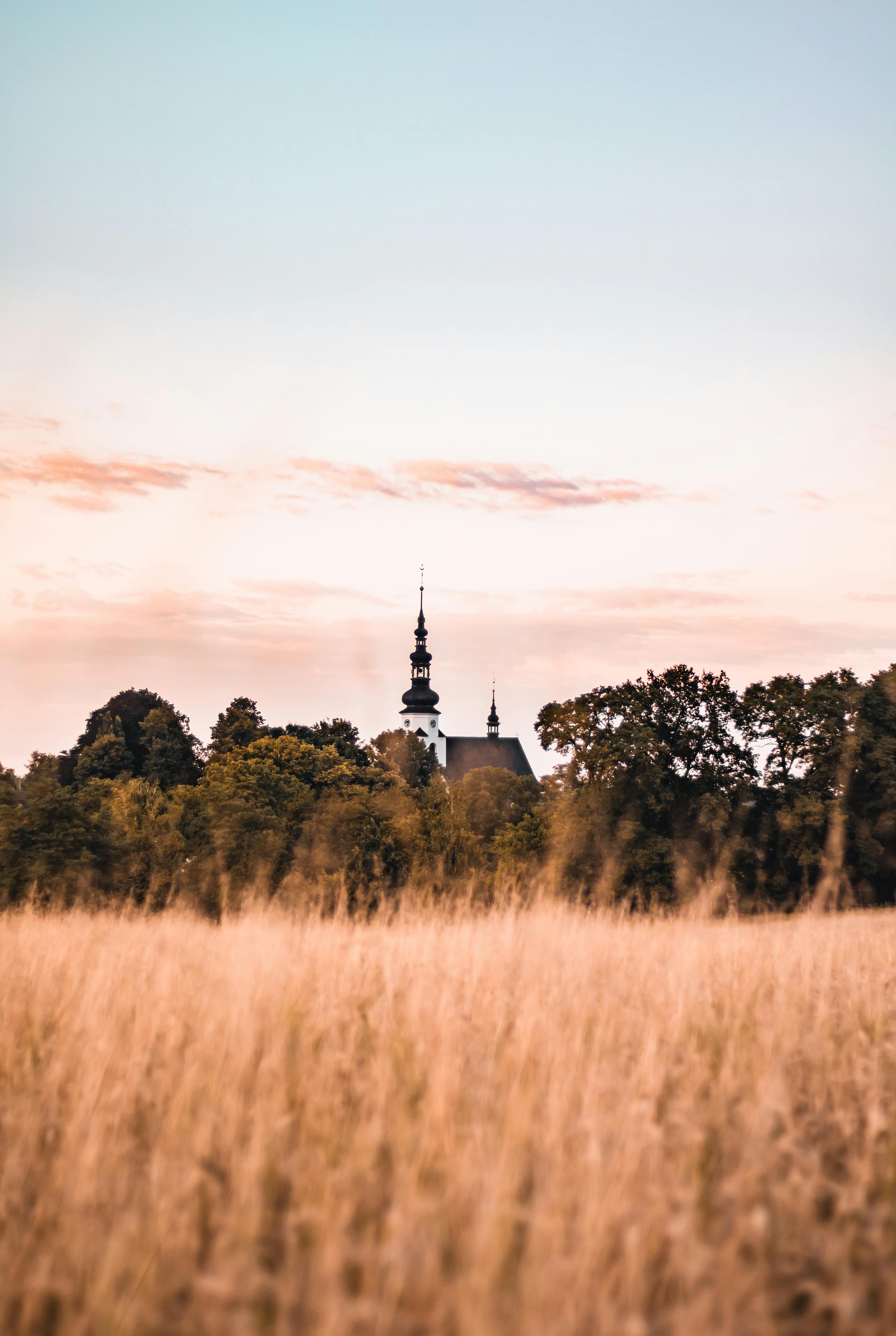 Photo of a Field at Sunrise · Free Stock Photo
