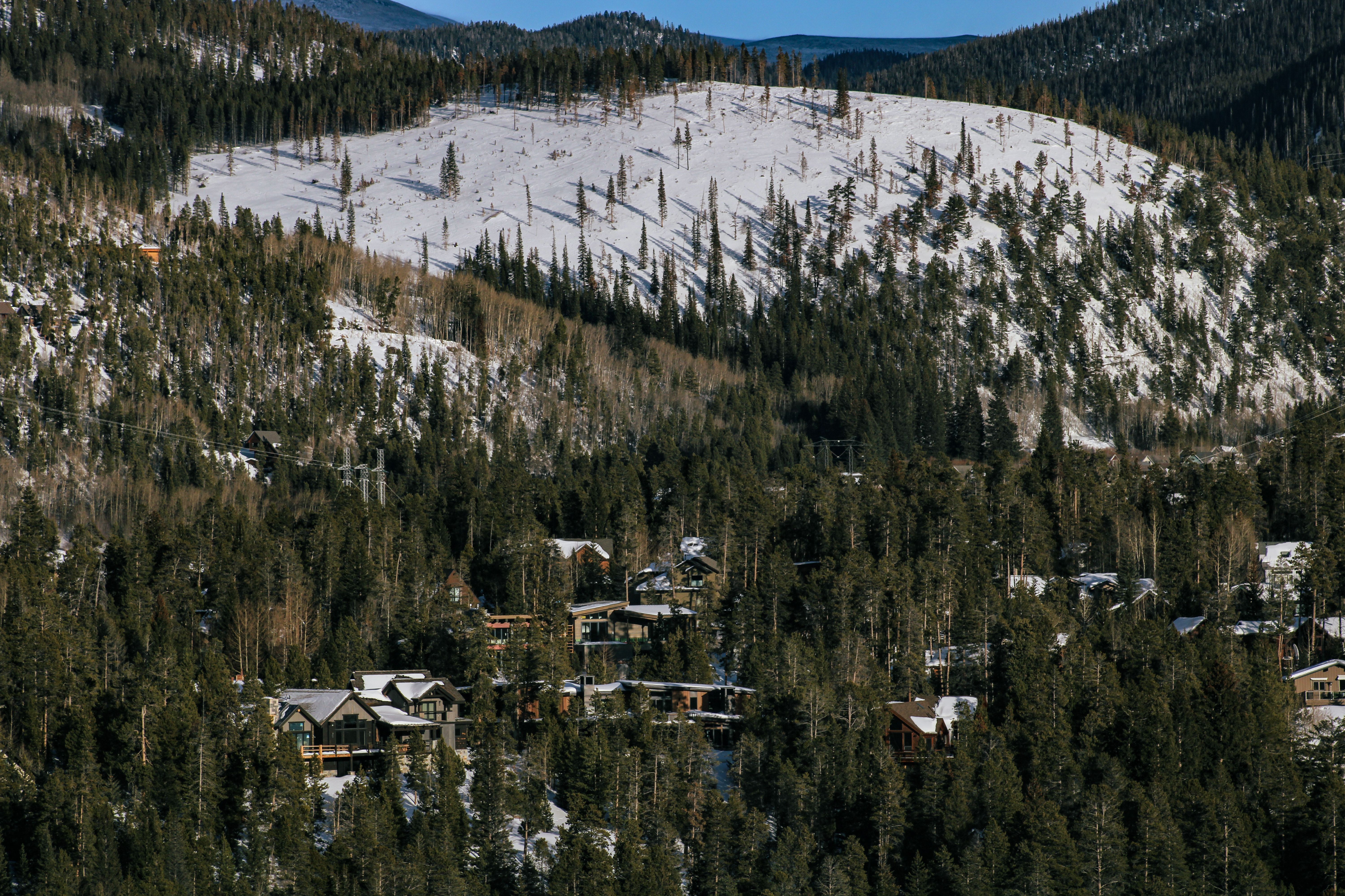 Hills with Conifer Trees and Snow · Free Stock Photo