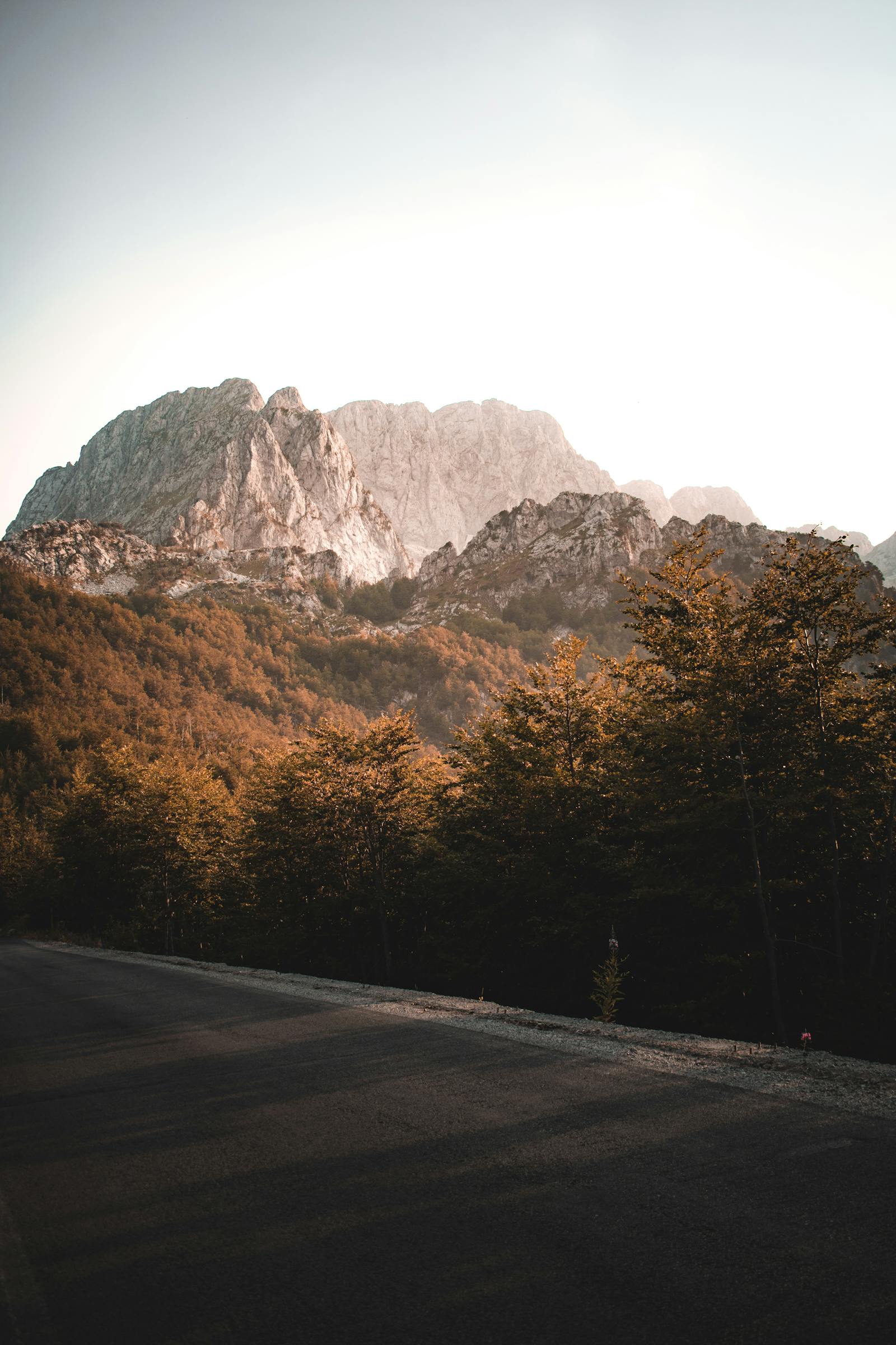 Free Photos Photos, Download The BEST Free Free Photos Stock Photos ...