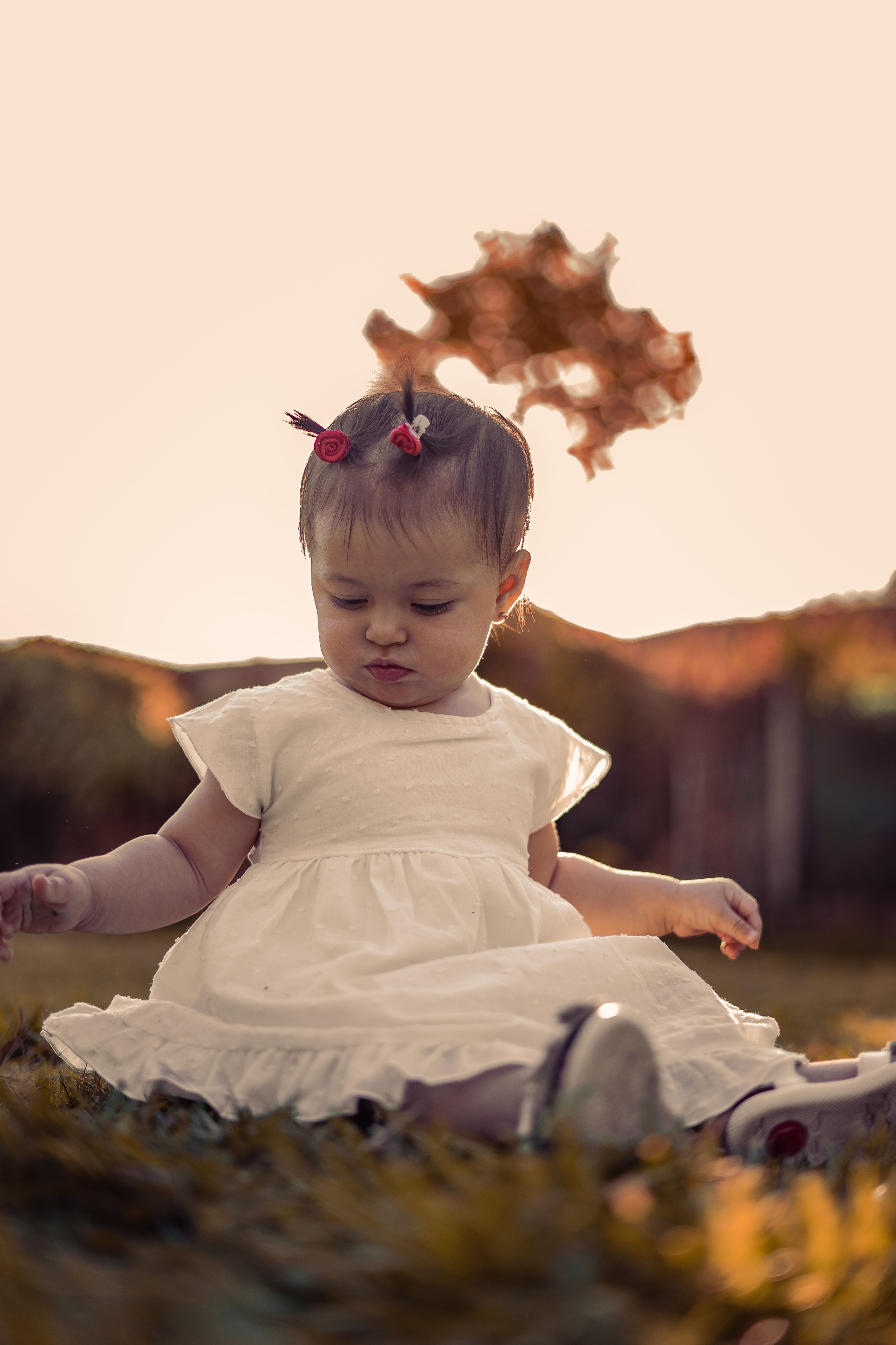 Cute Child Sitting on Grass on Sunset · Free Stock Photo