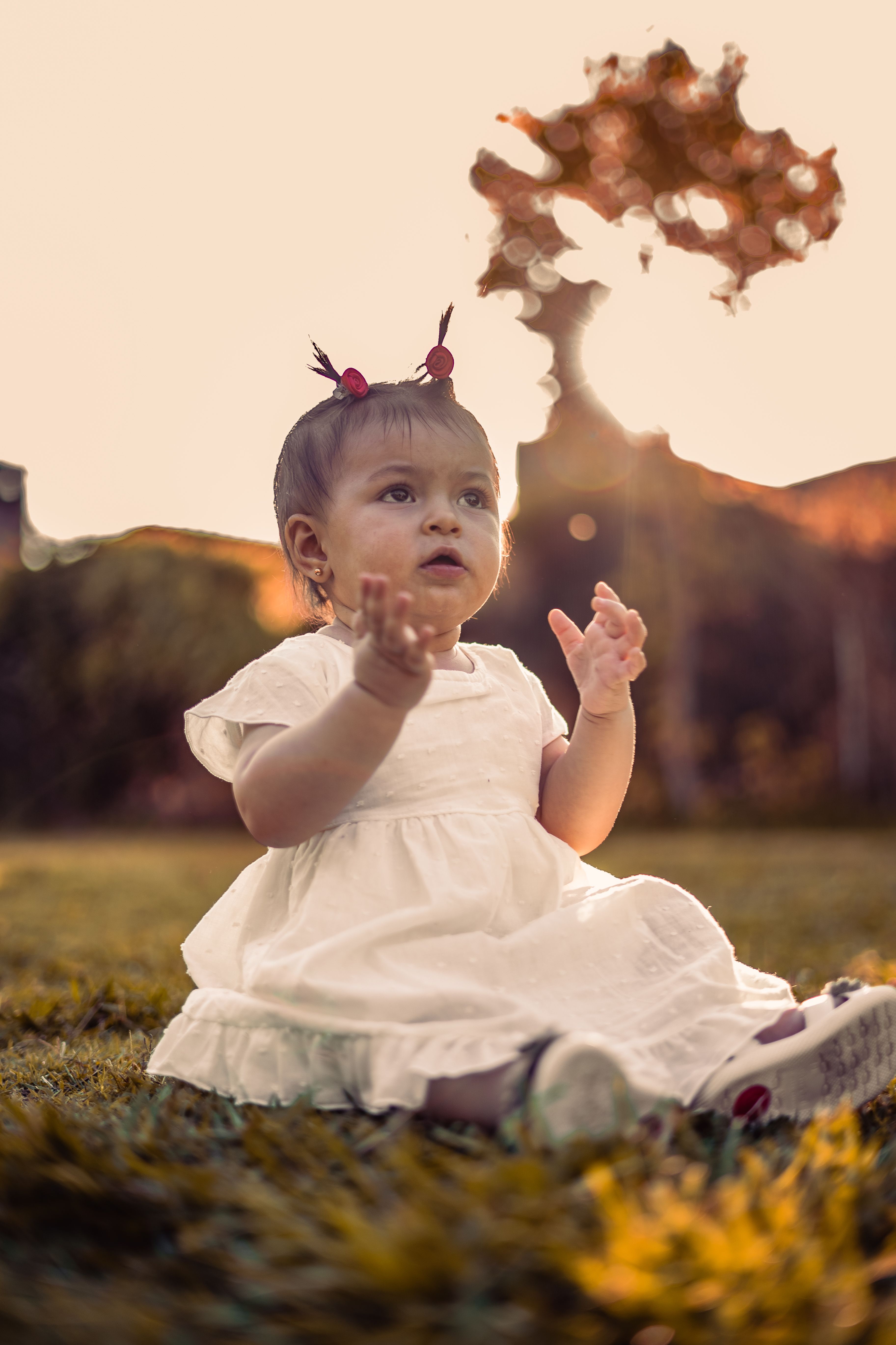 Cute Child Sitting on Ground on Sunset · Free Stock Photo