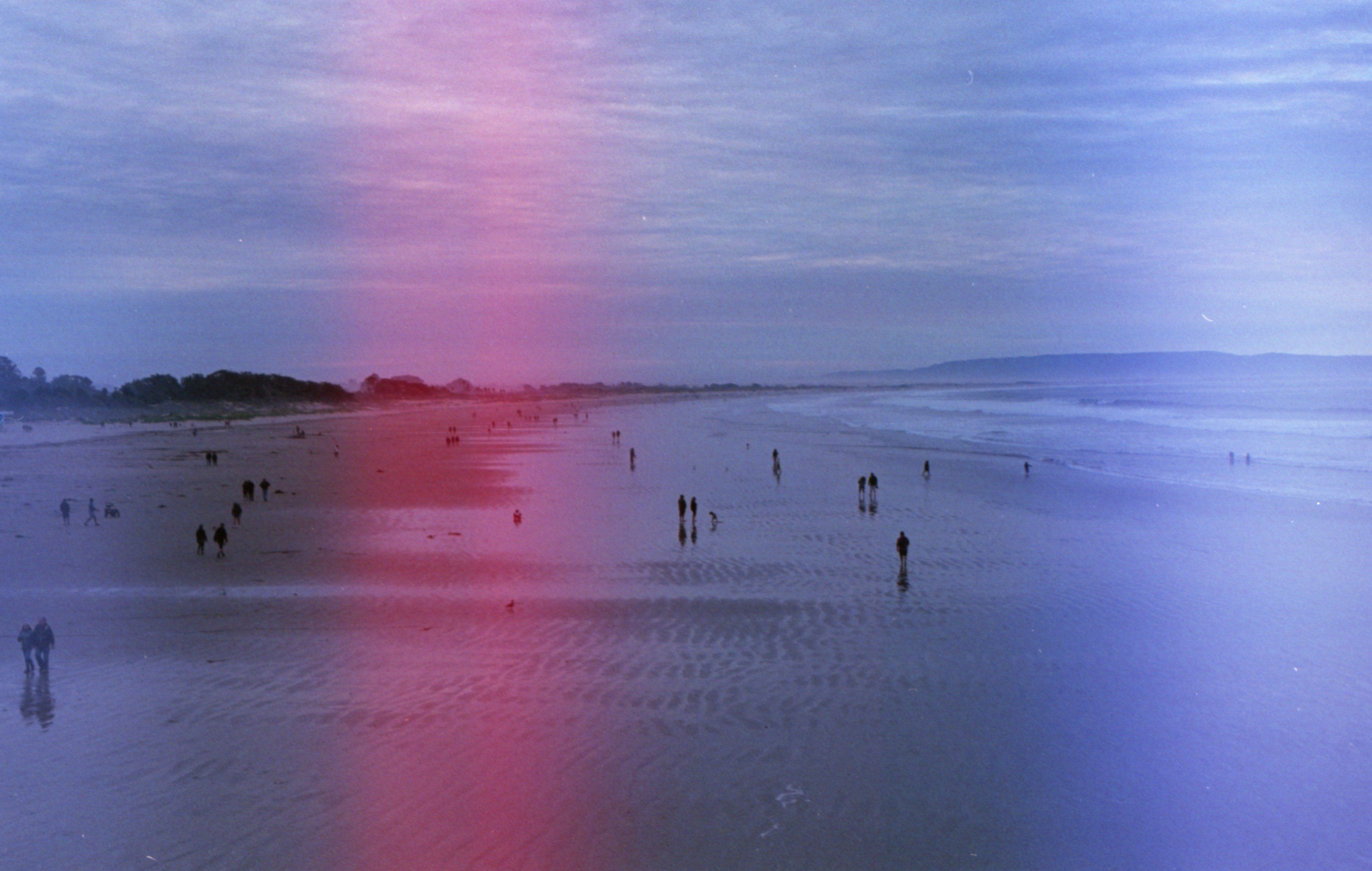 People Walking on Sand Beach on Sunset · Free Stock Photo