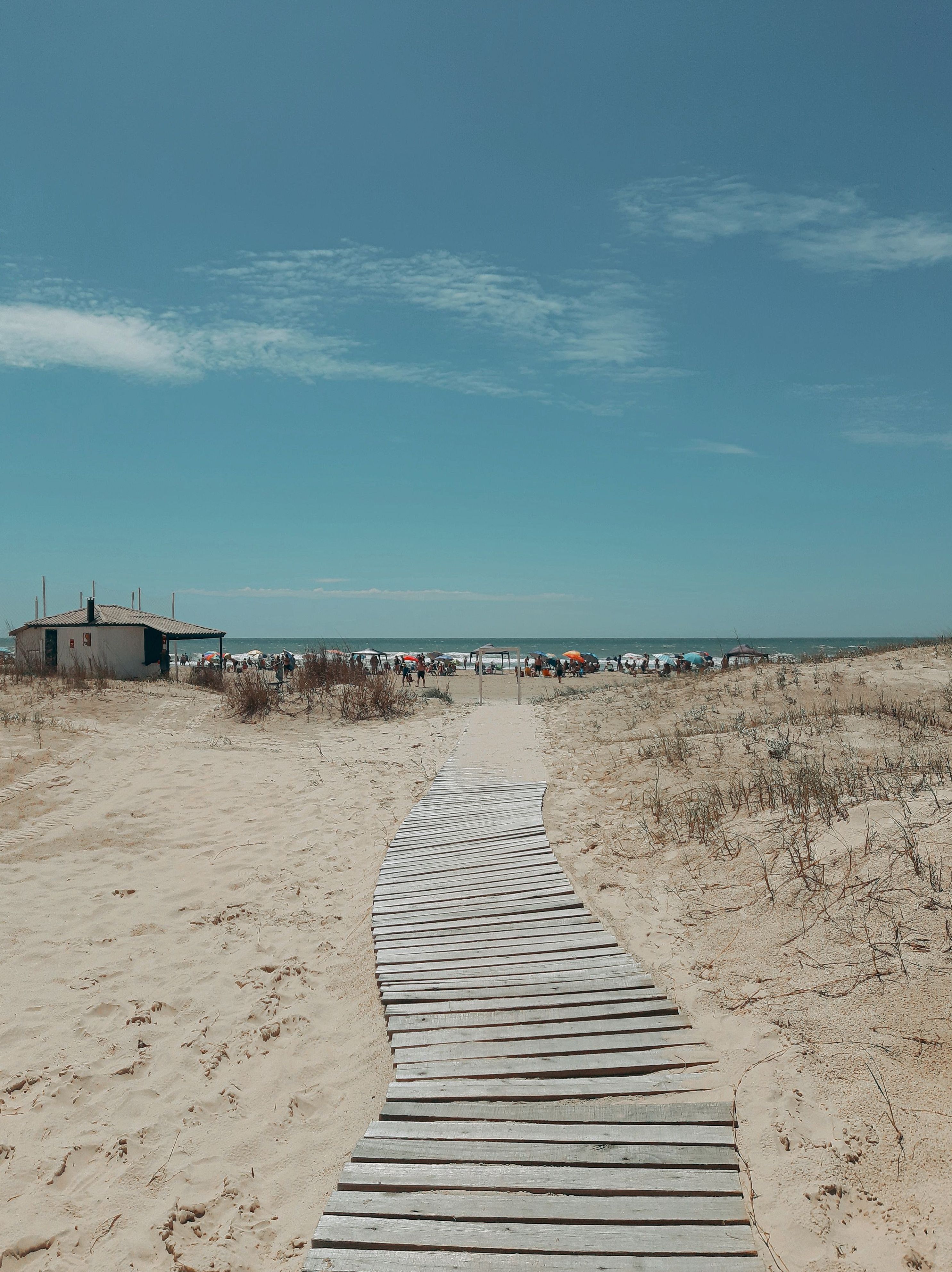 Blue and White Ford Pickup Truck on a Beach under a Cloudy Sky · Free ...