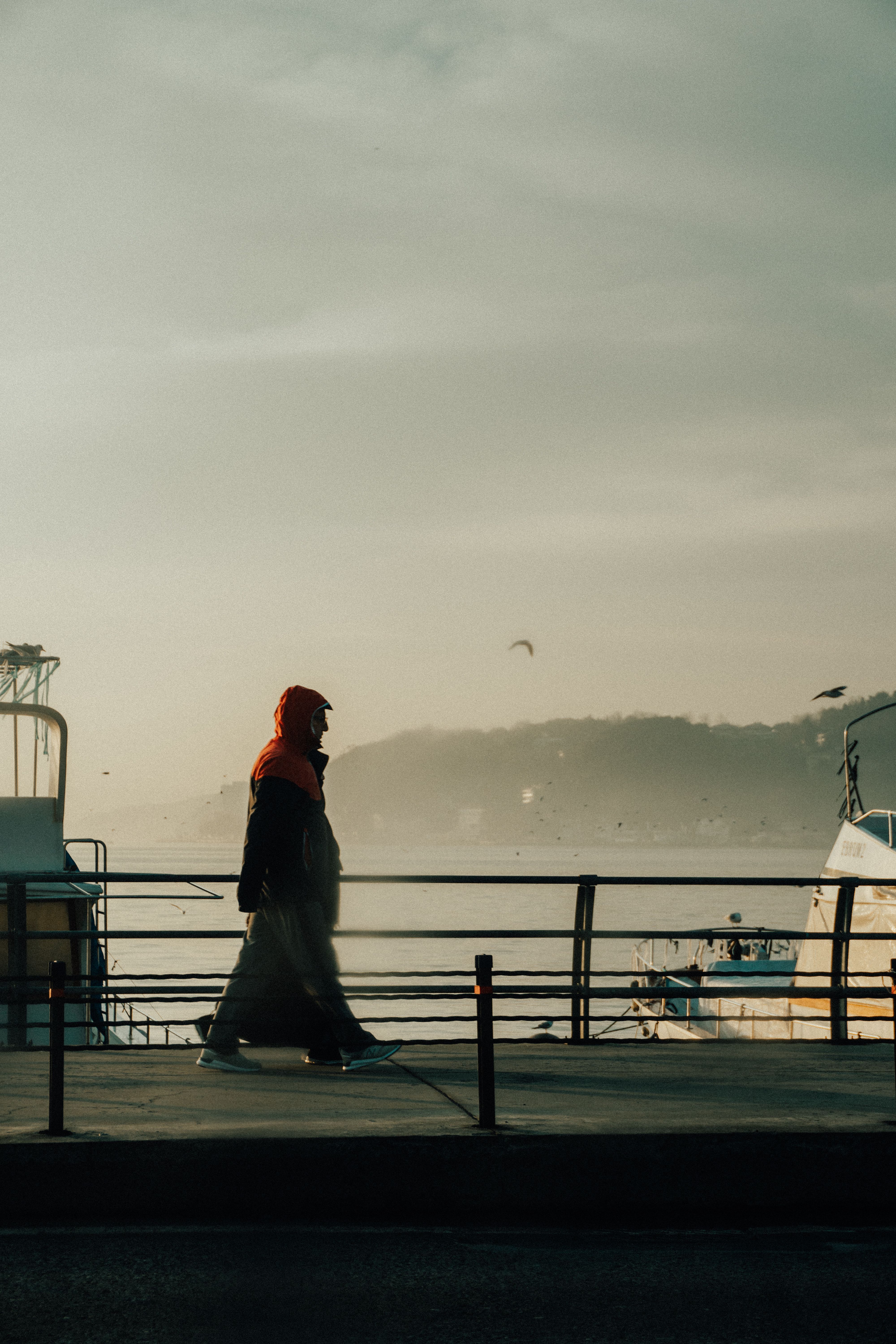 Pier in Harbor · Free Stock Photo