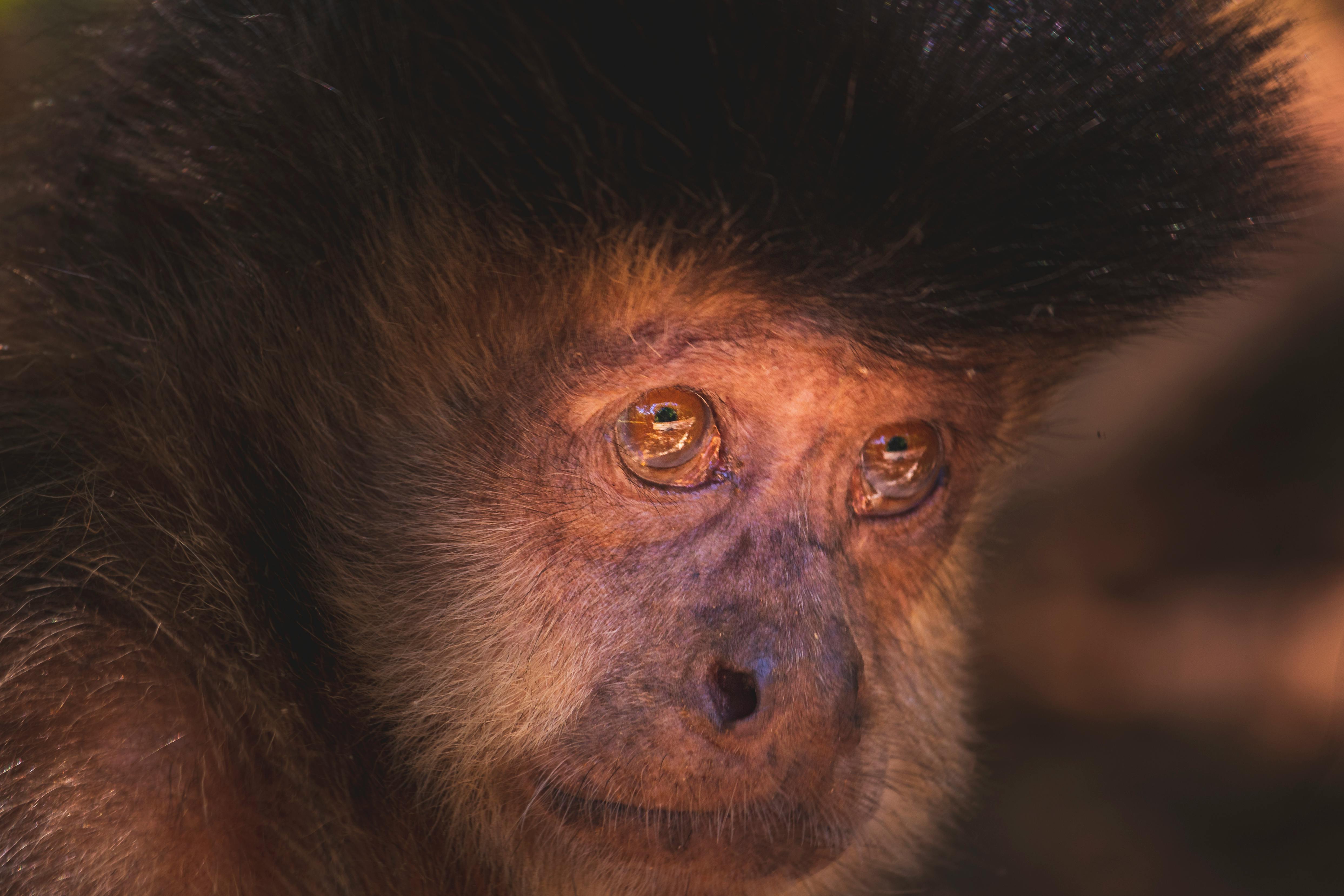 Baby Wallpaper Photos, Download The BEST Free Baby Wallpaper Stock ...