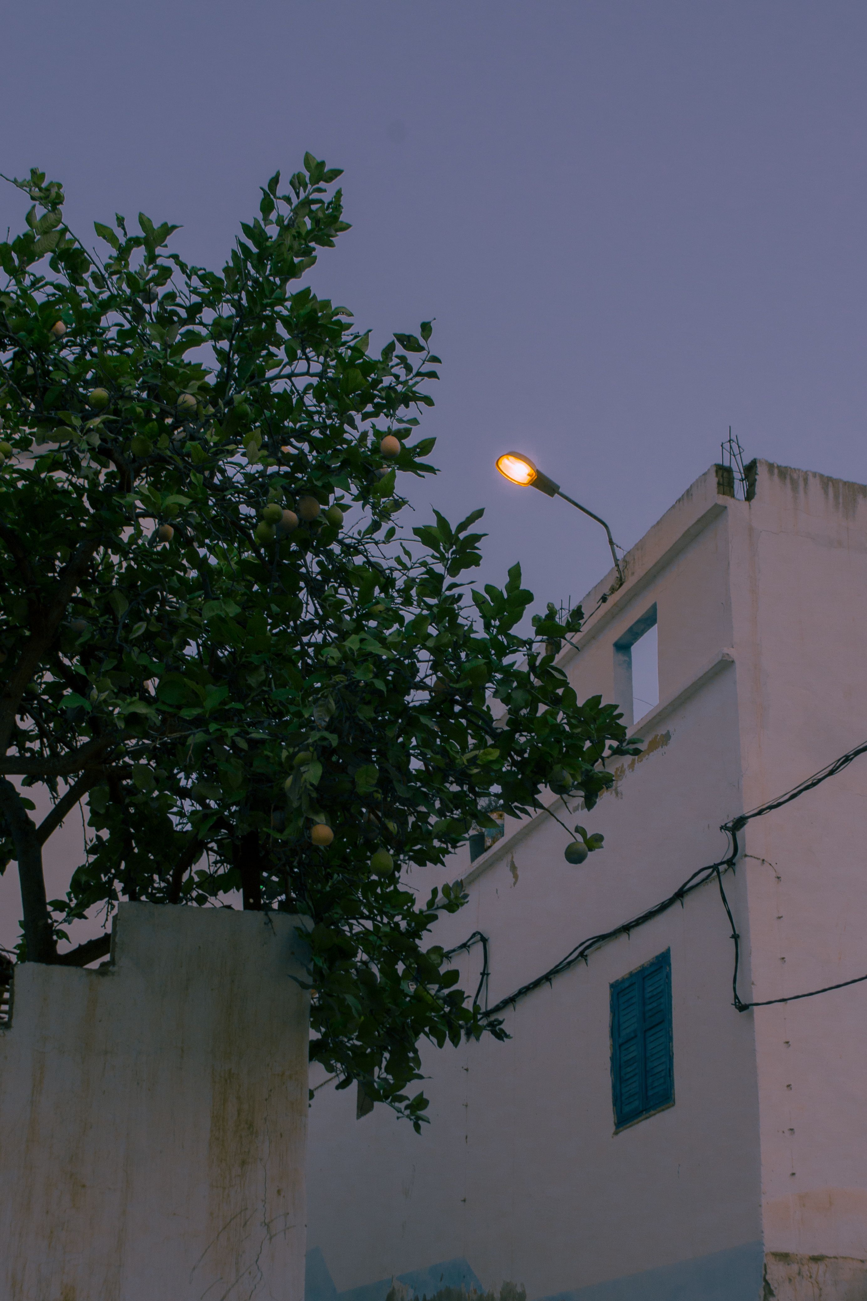 Streetlight Photos, Download The BEST Free Streetlight Stock Photos ...