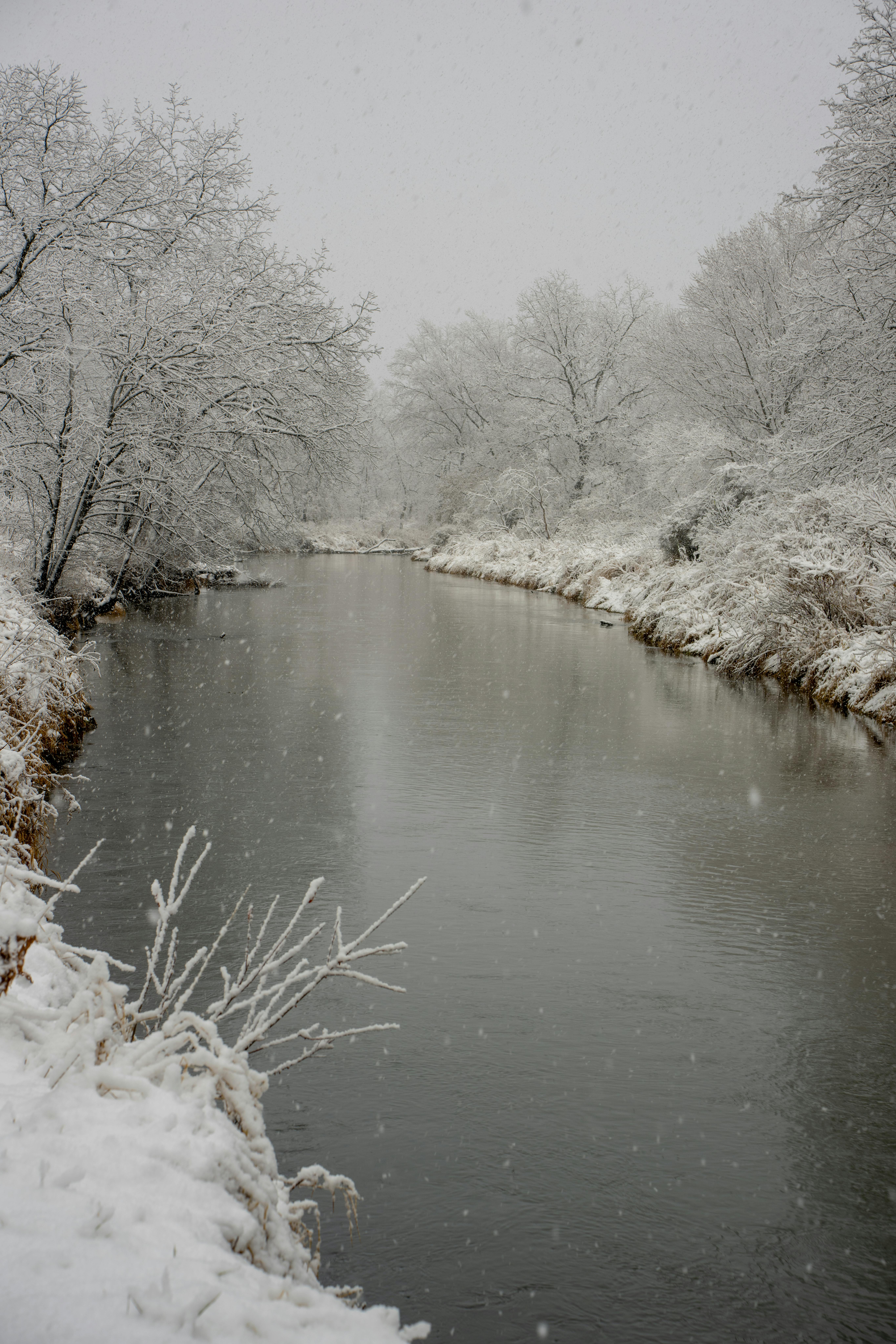 River at Snowy Day Photo · Free Stock Photo