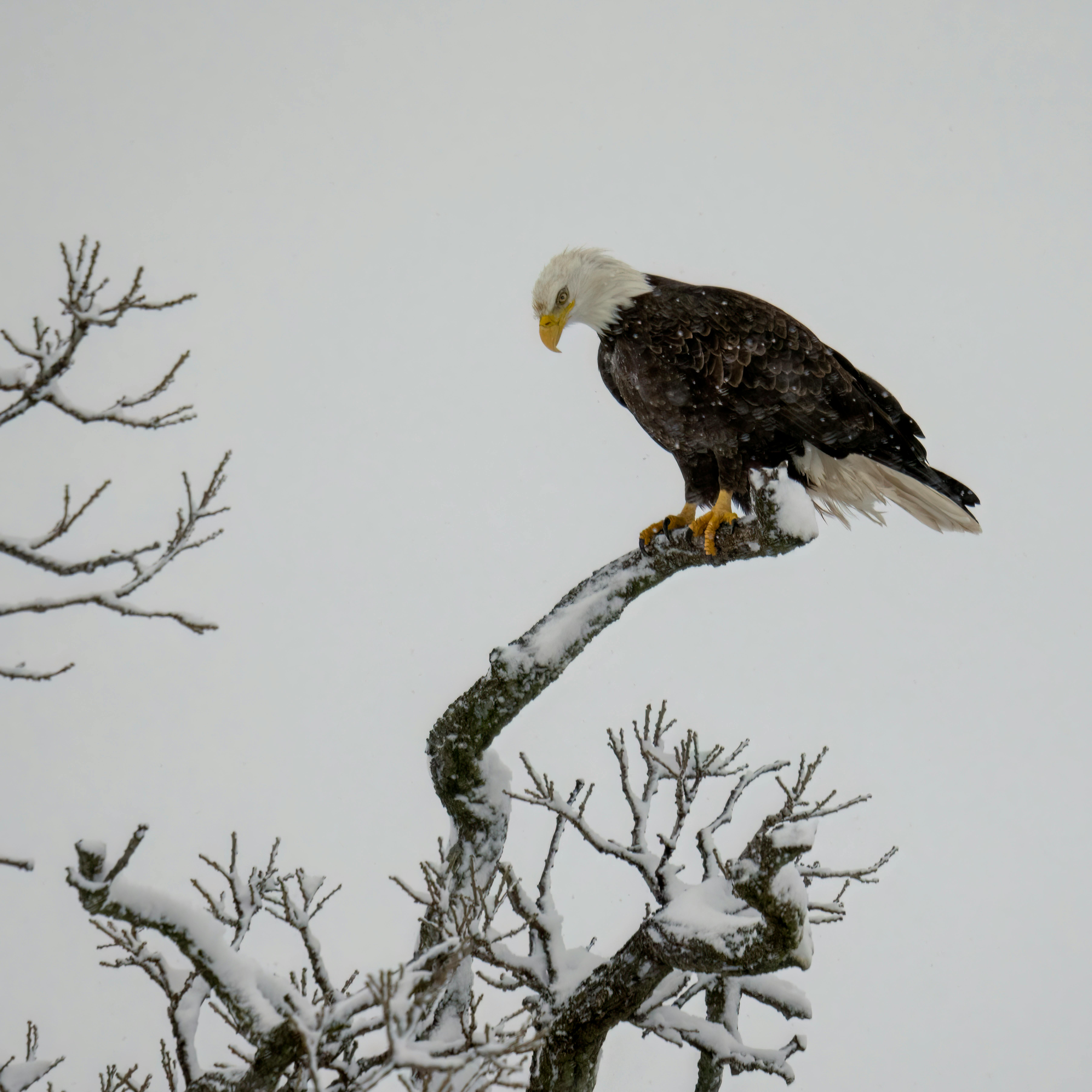 Ice State Photos, Download The BEST Free Ice State Stock Photos & HD Images