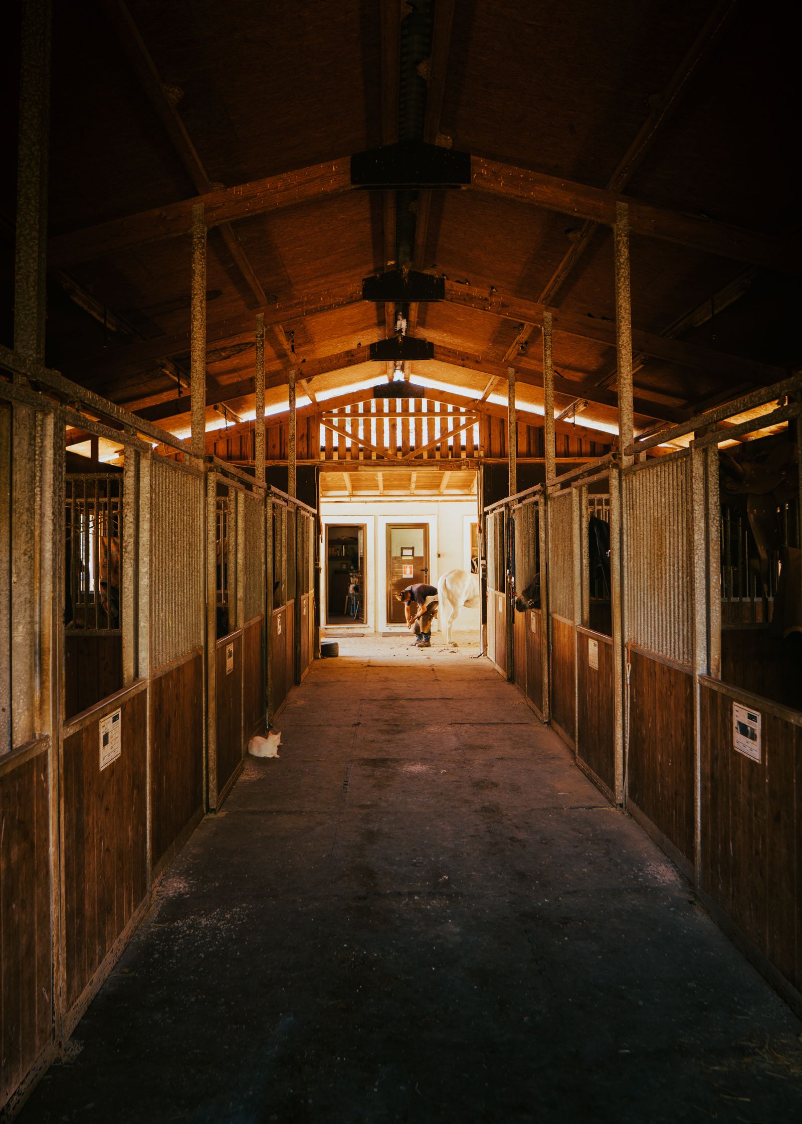 Barn Interior Photos, Download The BEST Free Barn Interior Stock Photos ...