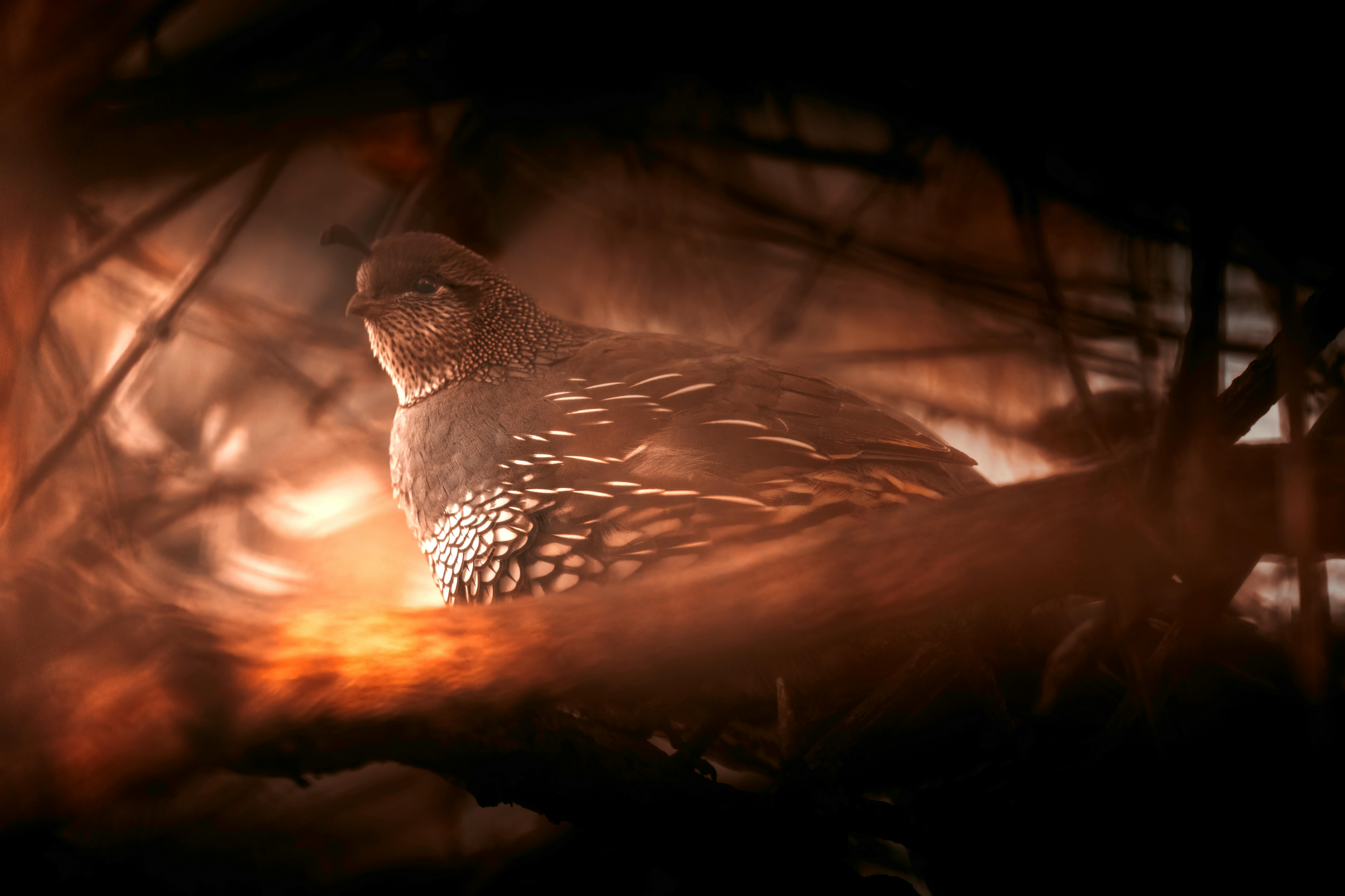 4k Wallpaper Anime Moving Photos, Download The BEST Free 4k Wallpaper ...