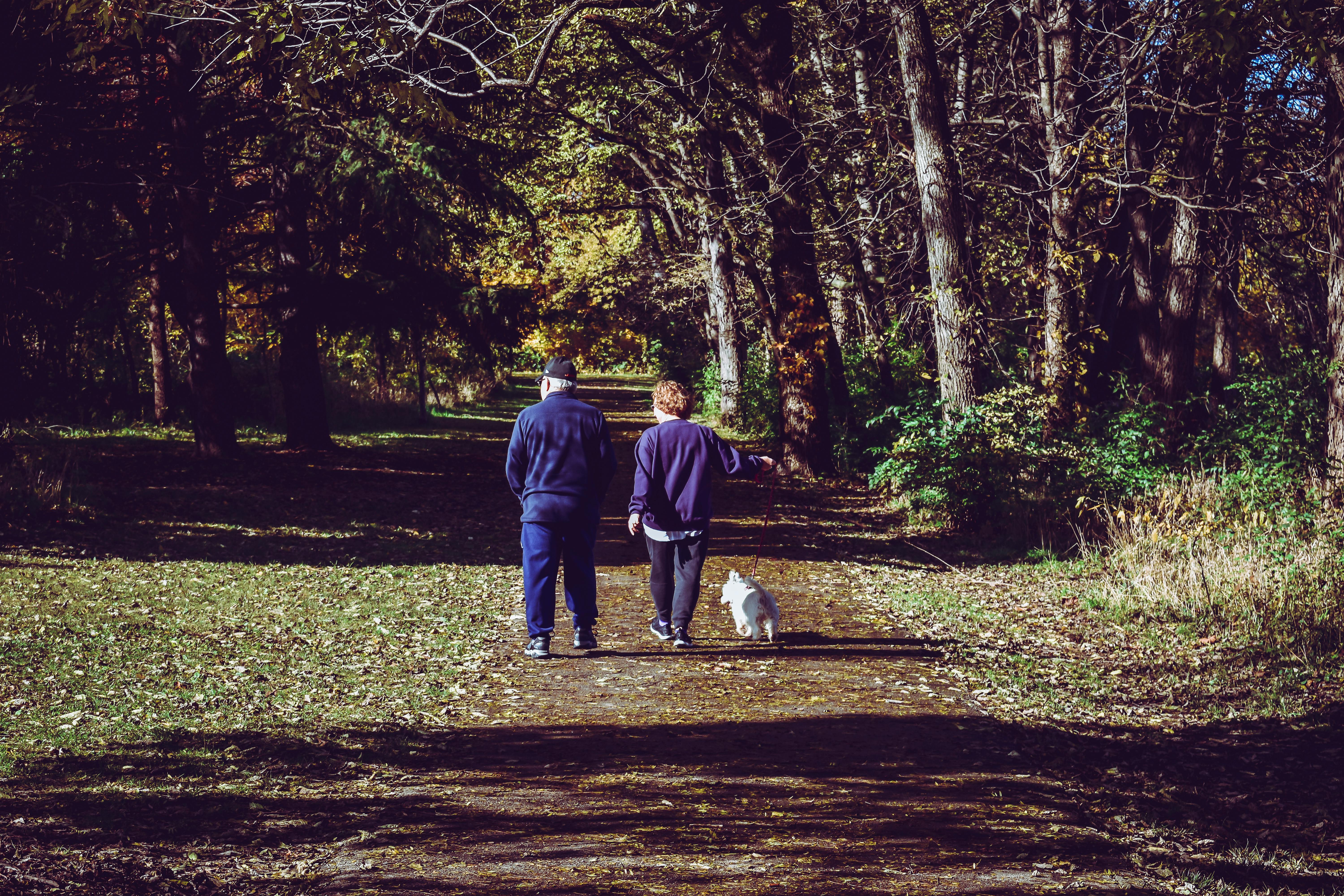 Two Man Walking on Road Near Trees · Free Stock Photo