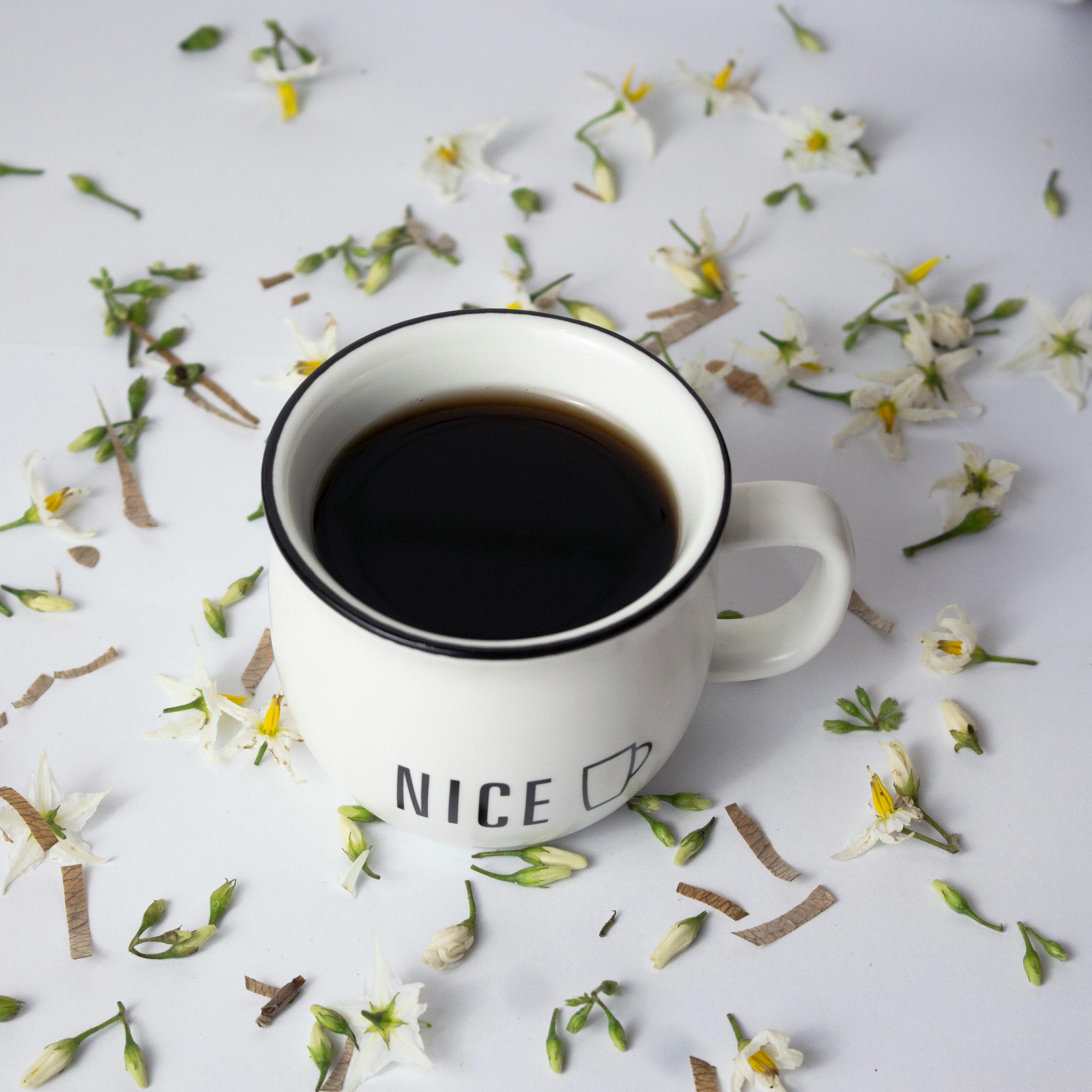 500.000+ melhores imagens de Flor Aberta · Download 100% grátis · Fotos ...