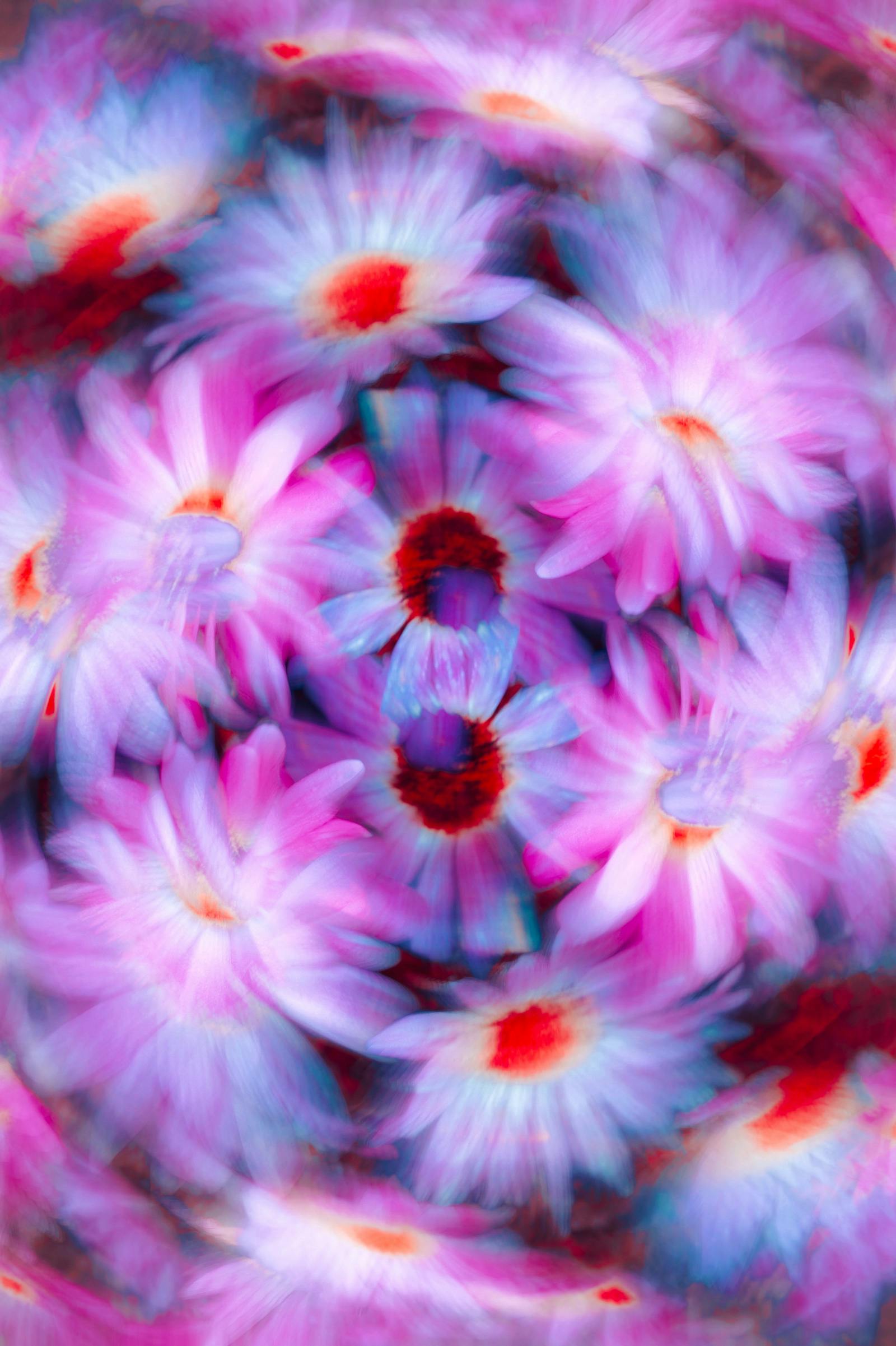 Abstract Flowers Photos, Download The BEST Free Abstract Flowers Stock ...