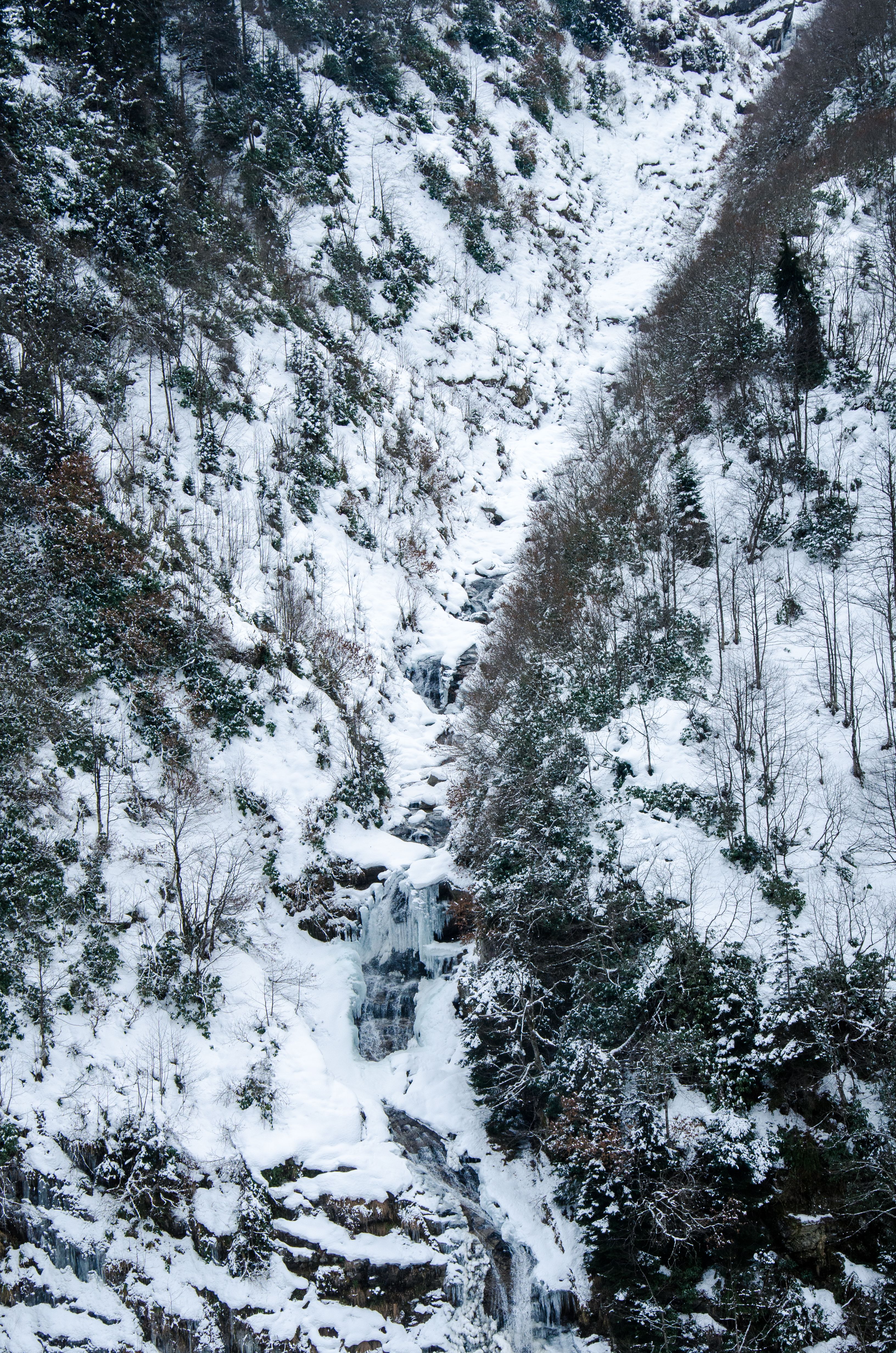Slope in Snow · Free Stock Photo