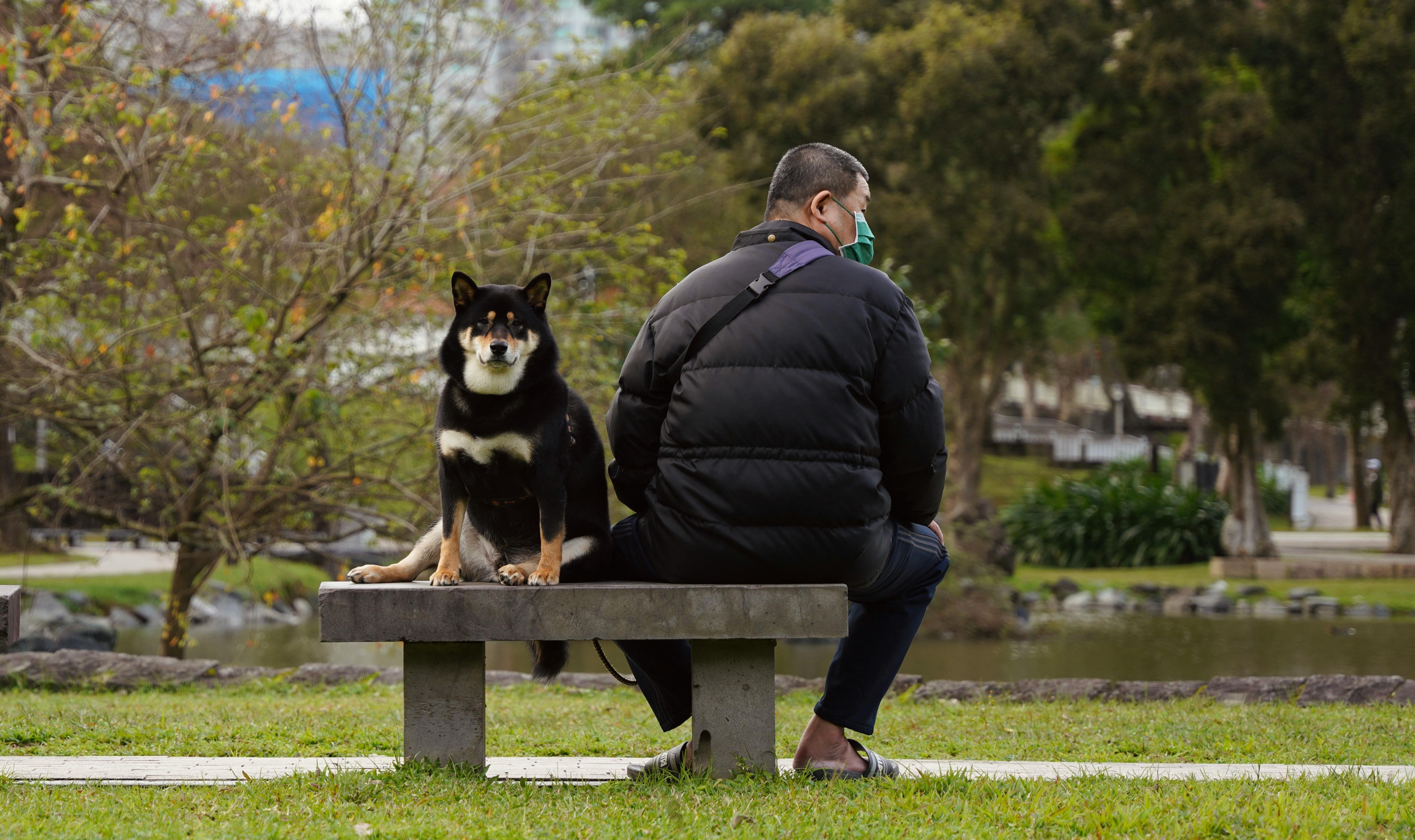 Man and Dog Sitting on Bench · Free Stock Photo