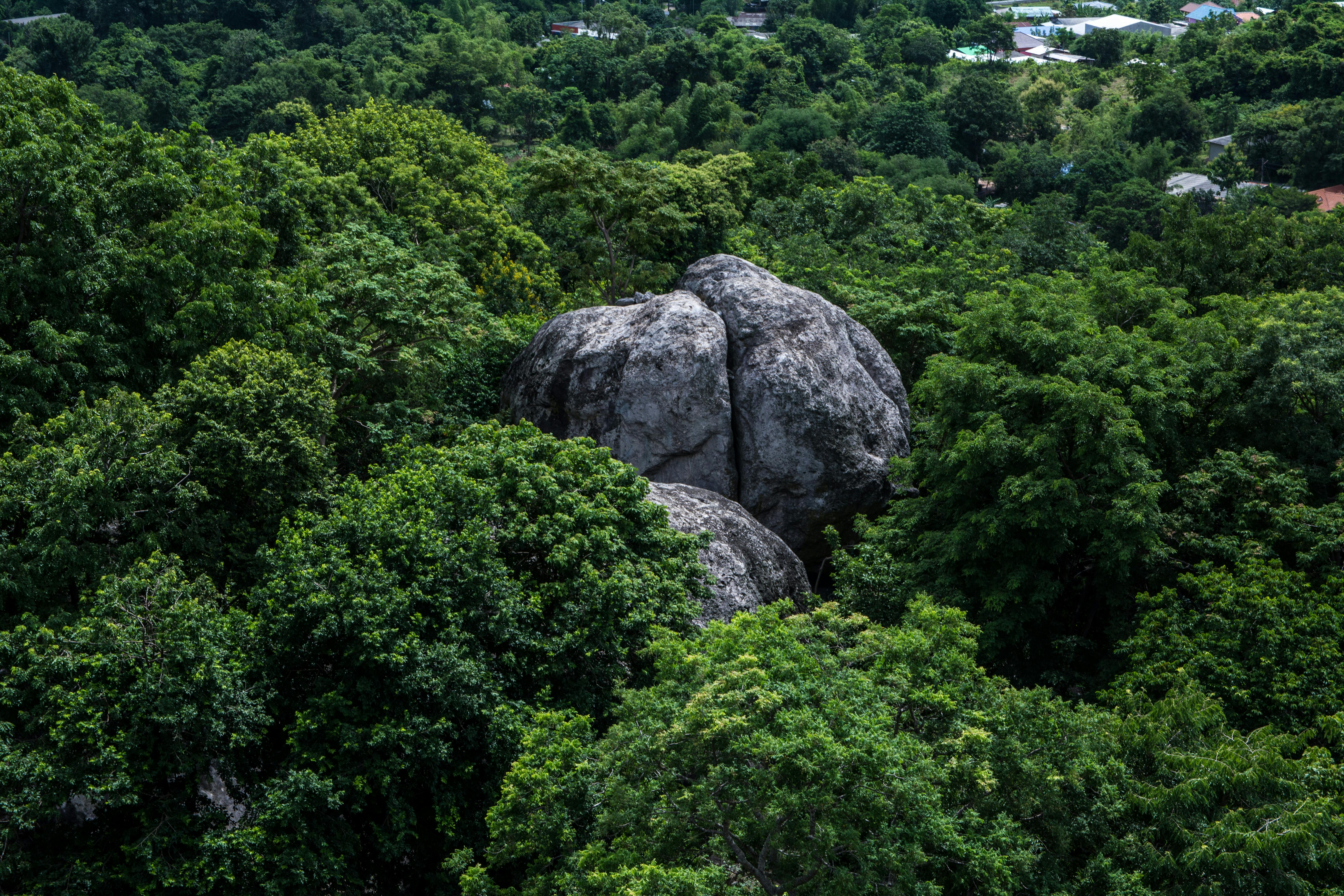 Rock Formation in Forest · Free Stock Photo