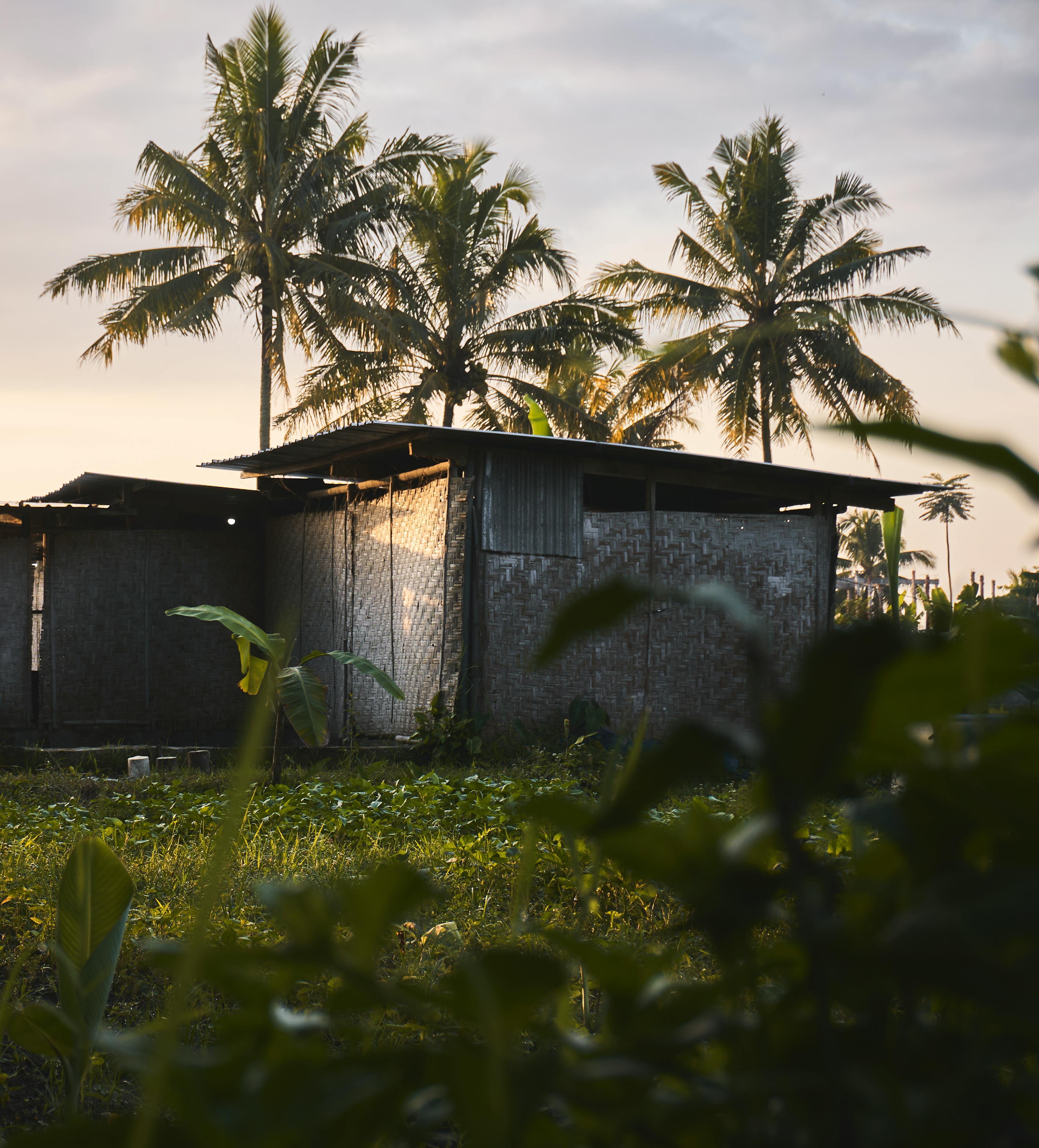 Building on Tropical Landscape · Free Stock Photo