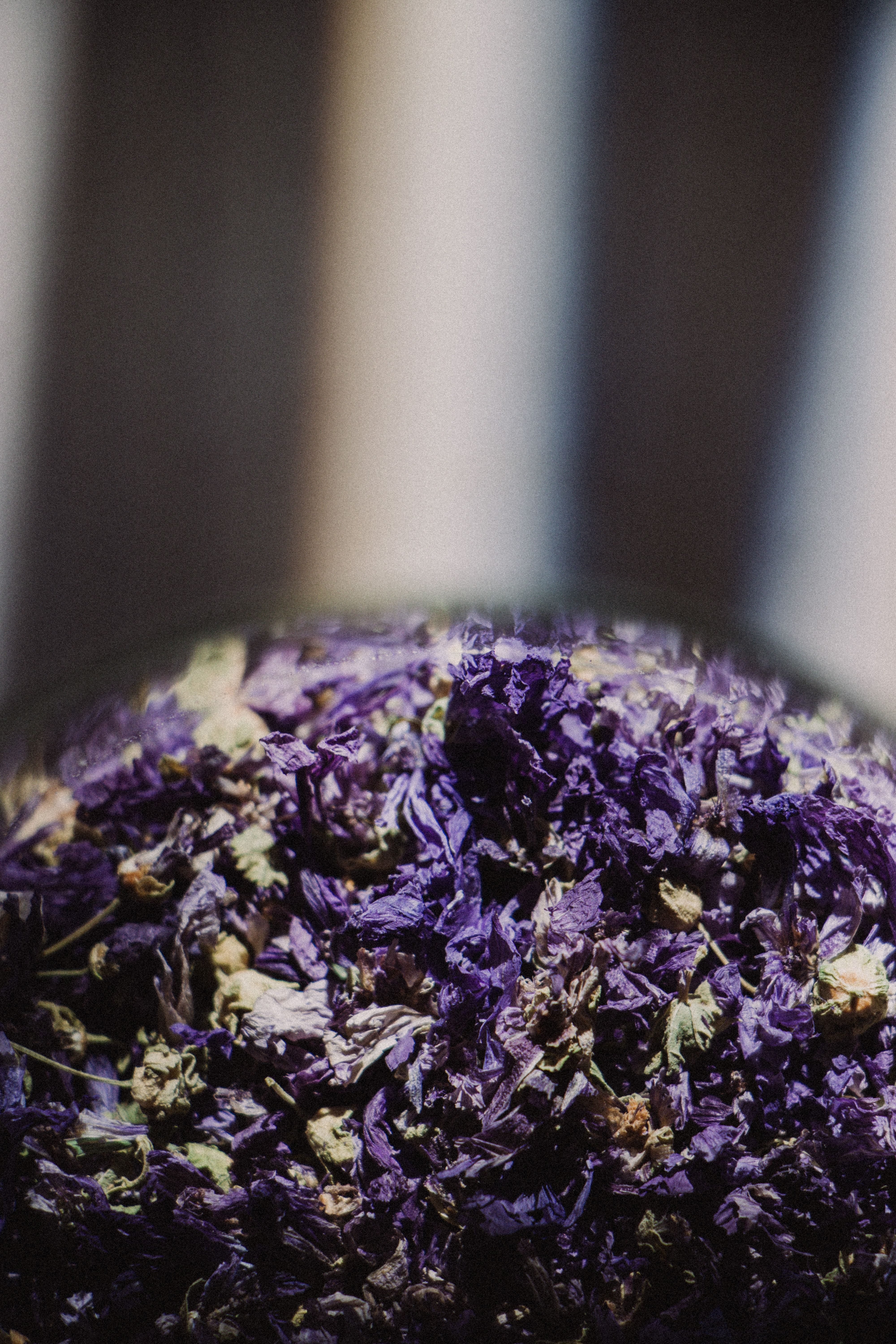 Cloe-up of Dried Purple Flower Petals · Free Stock Photo