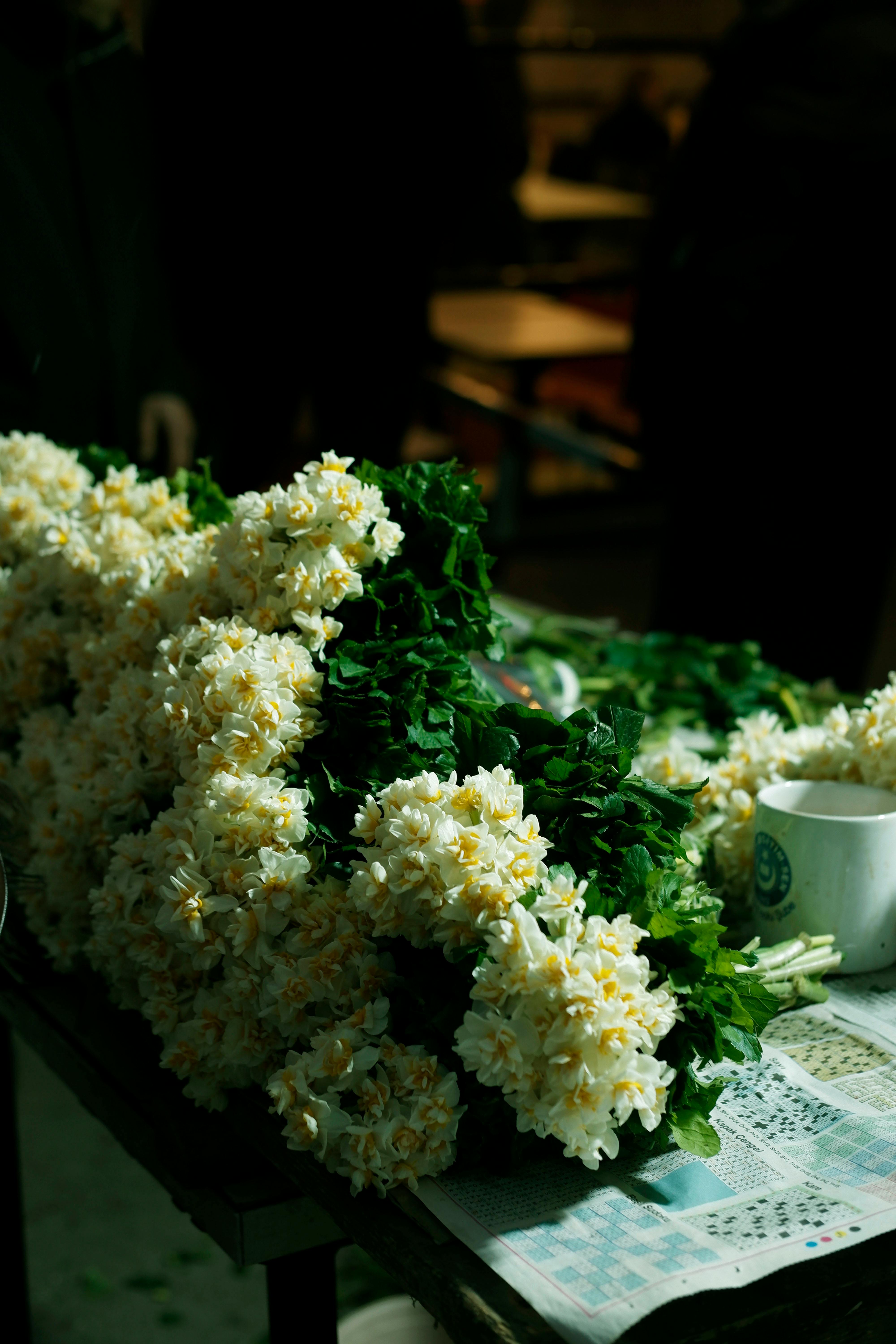 Florae Photos, Download The BEST Free Florae Stock Photos & HD Images