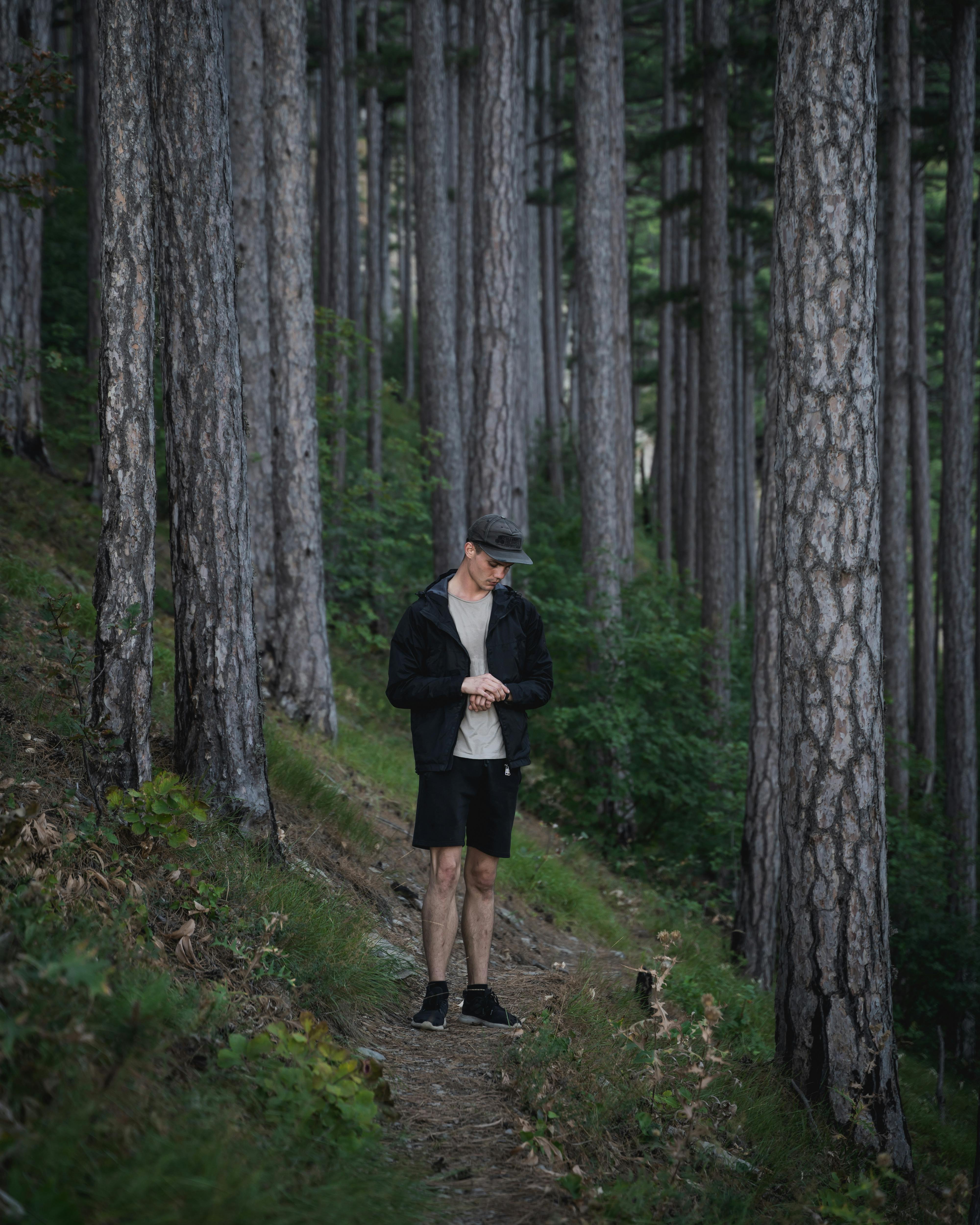 Man Standing between Trees in Forest · Free Stock Photo