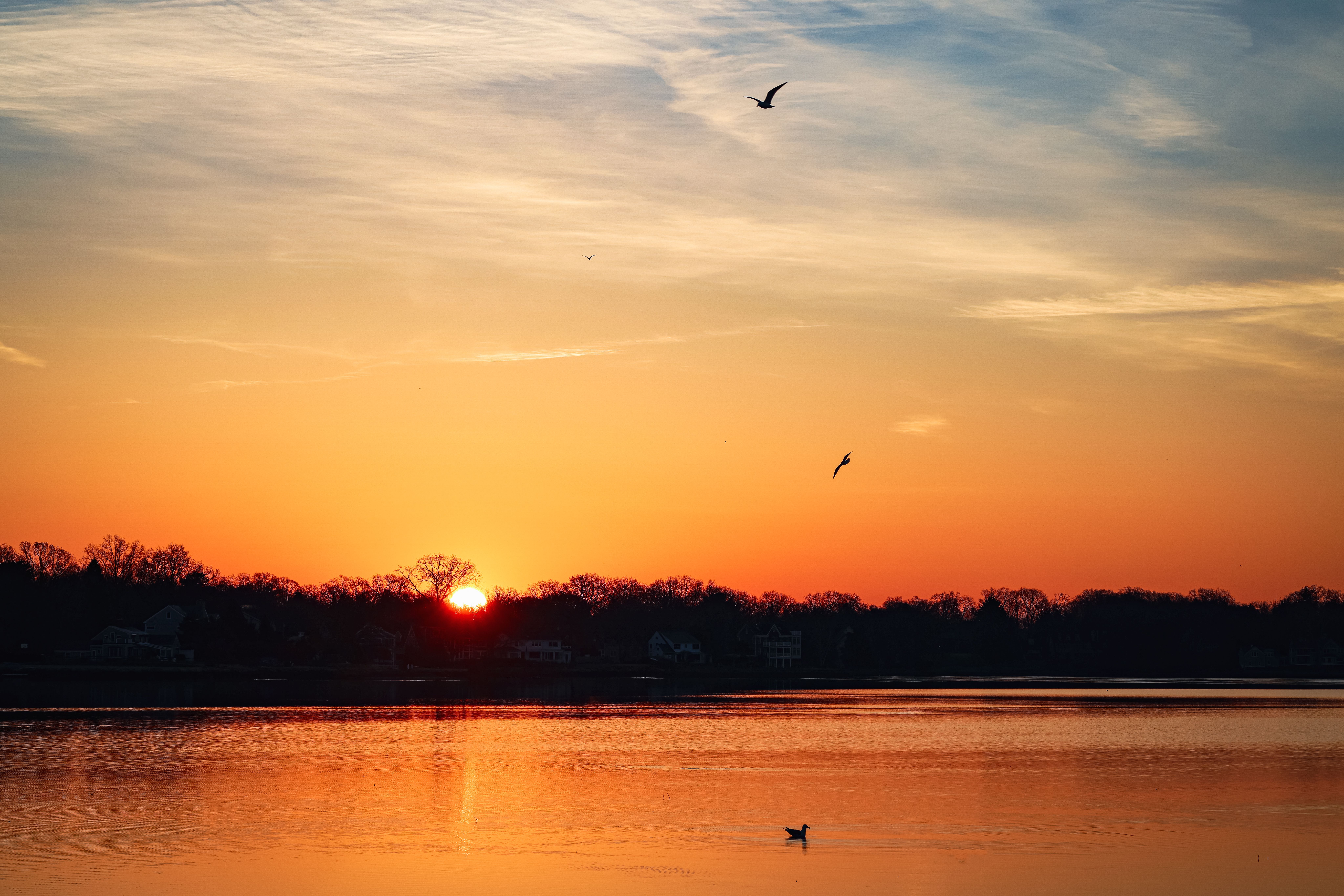 Sunset Above Coastline, Cove Island, Stamford, Connecticut, USA · Free ...