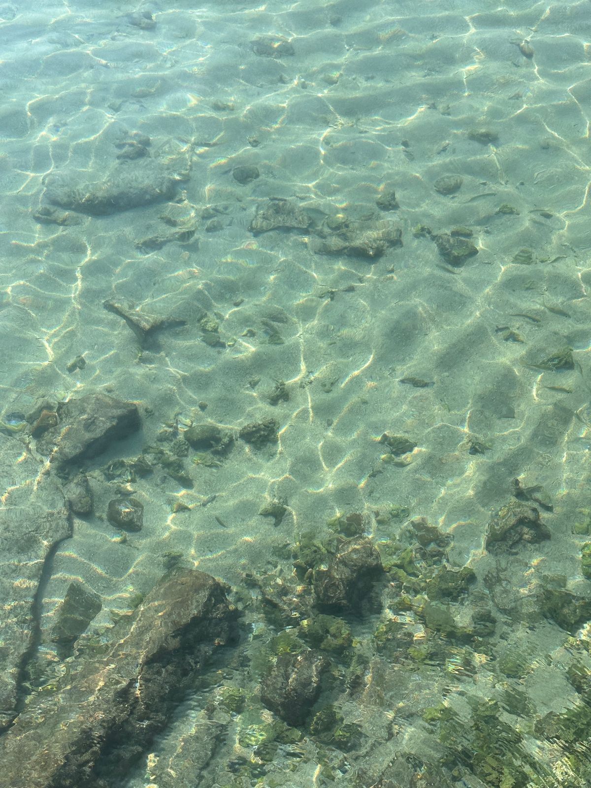 Sea Floor Photos, Download The BEST Free Sea Floor Stock Photos & HD Images