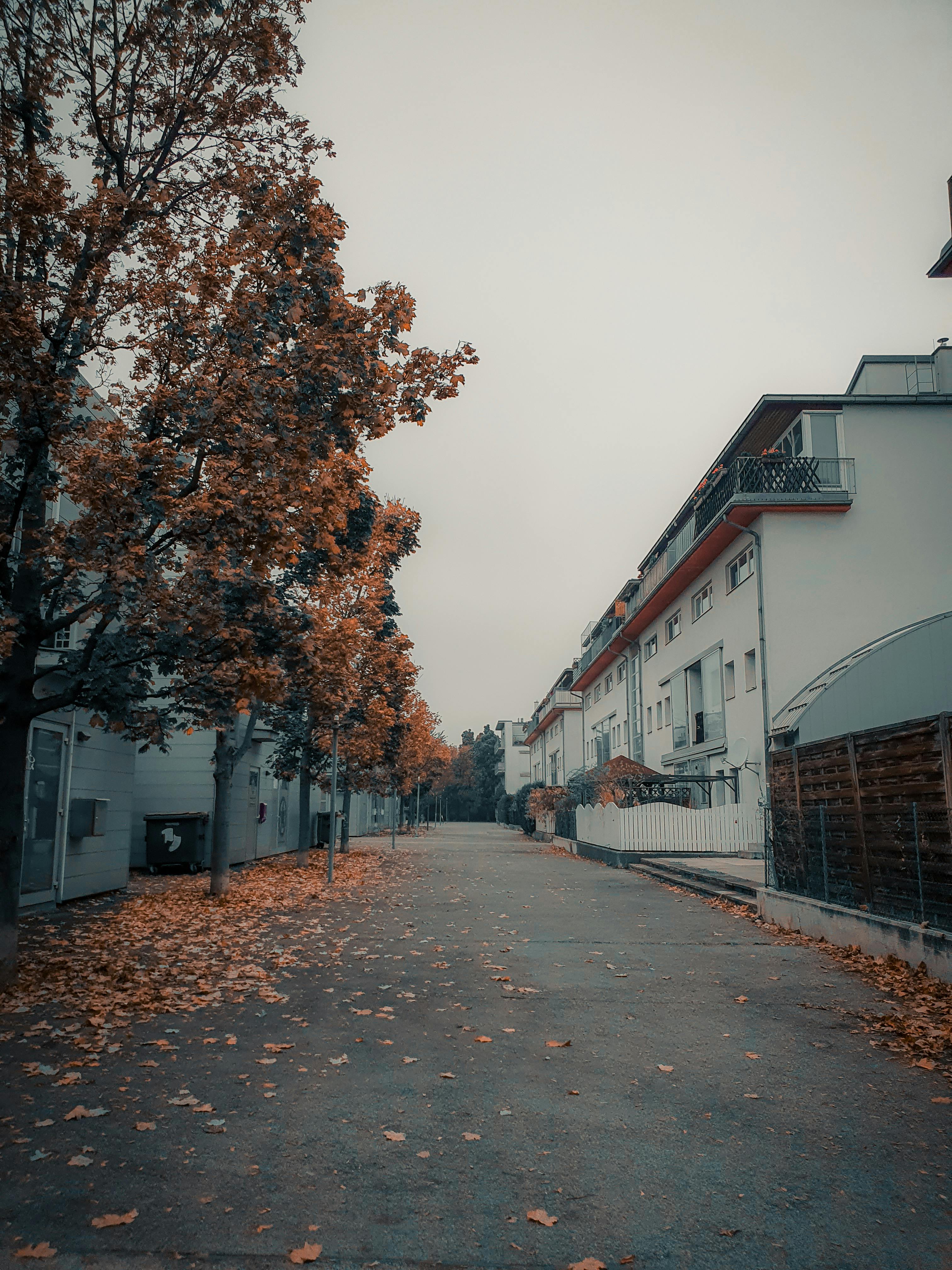 View of a Street in Autumn · Free Stock Photo