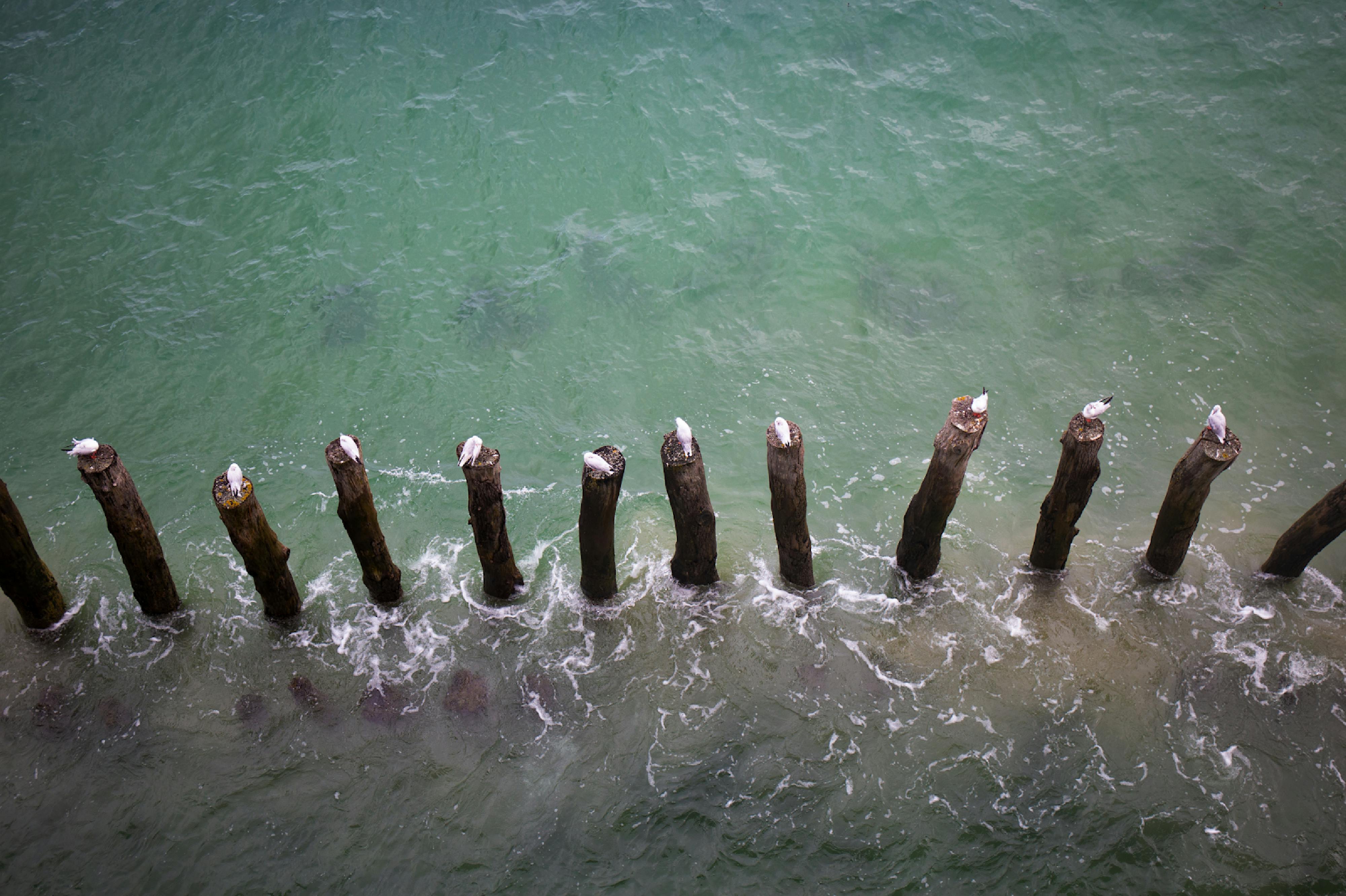 Posts With Watermark Photos, Download The BEST Free Posts With ...