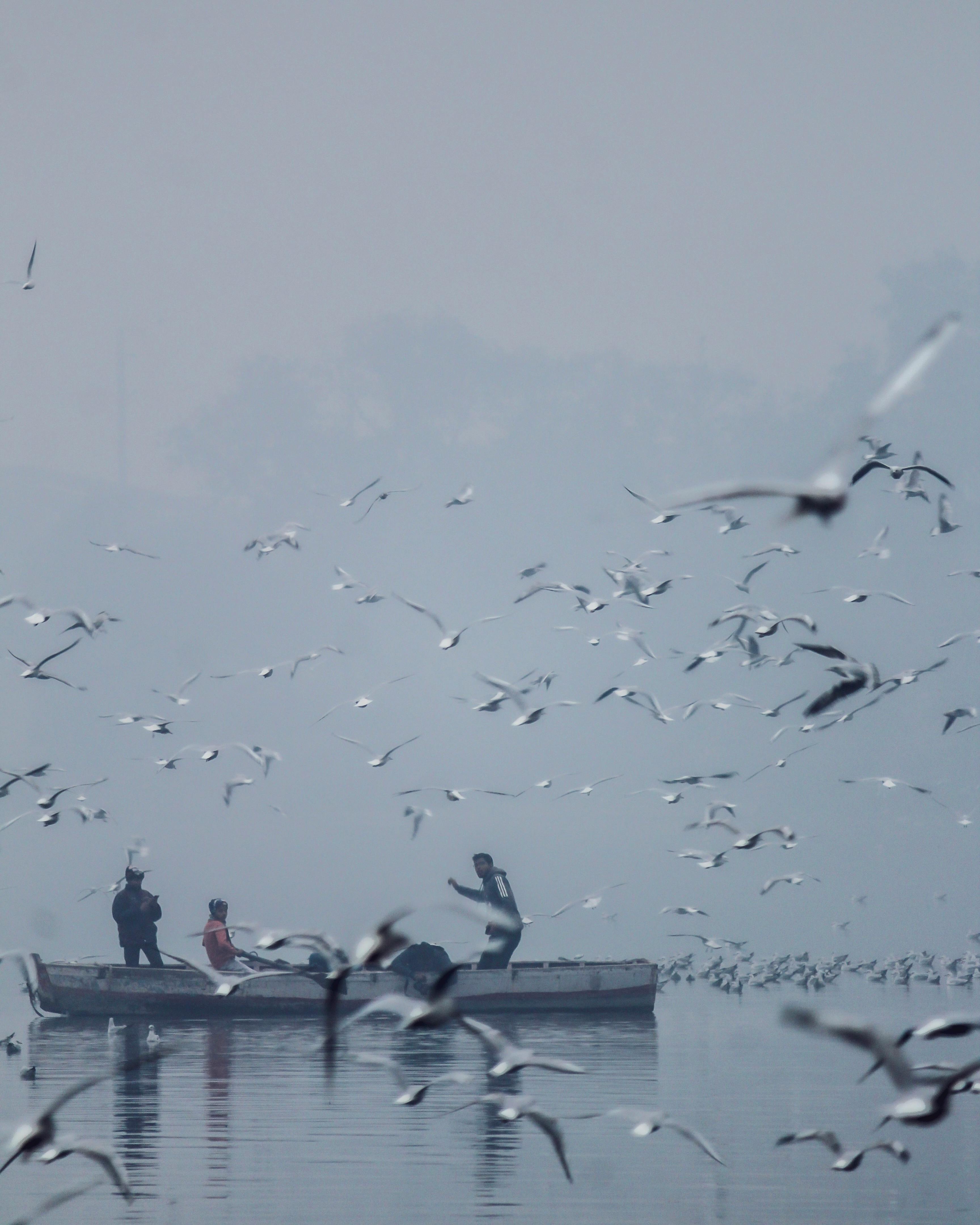 People Flying Photos, Download The BEST Free People Flying Stock Photos ...