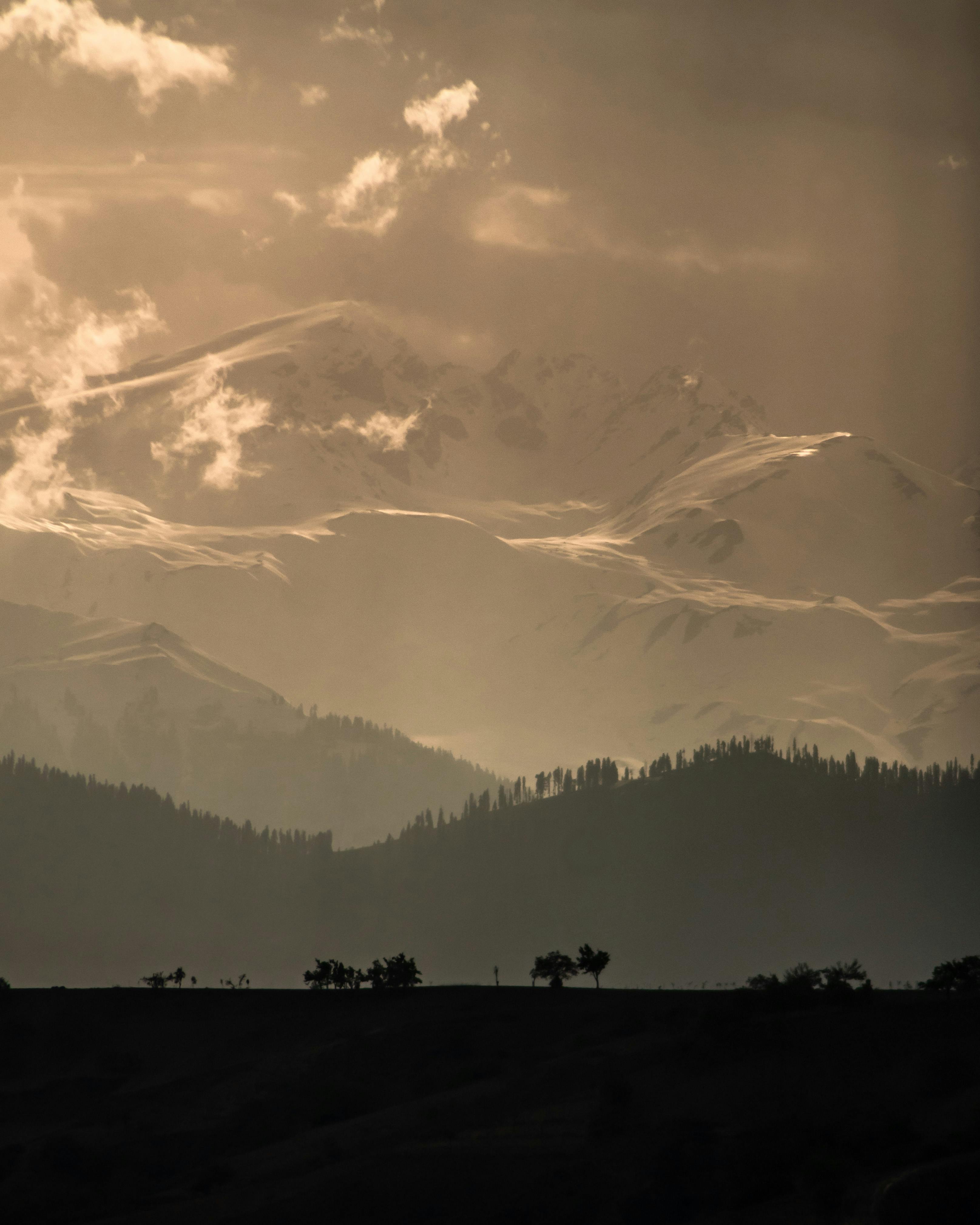 Trees in Valley in Mountains · Free Stock Photo