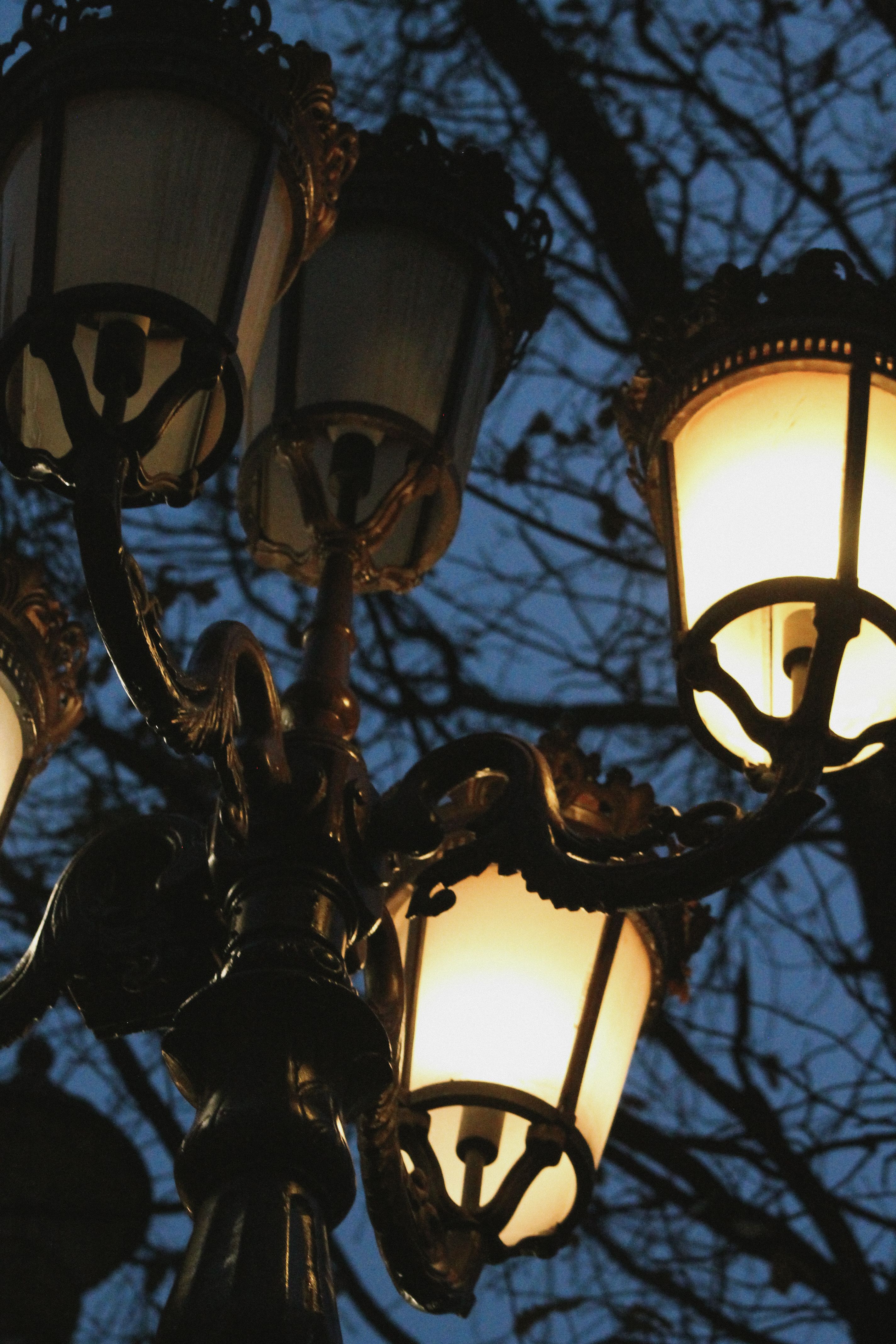 An Illuminated Vintage Lantern · Free Stock Photo
